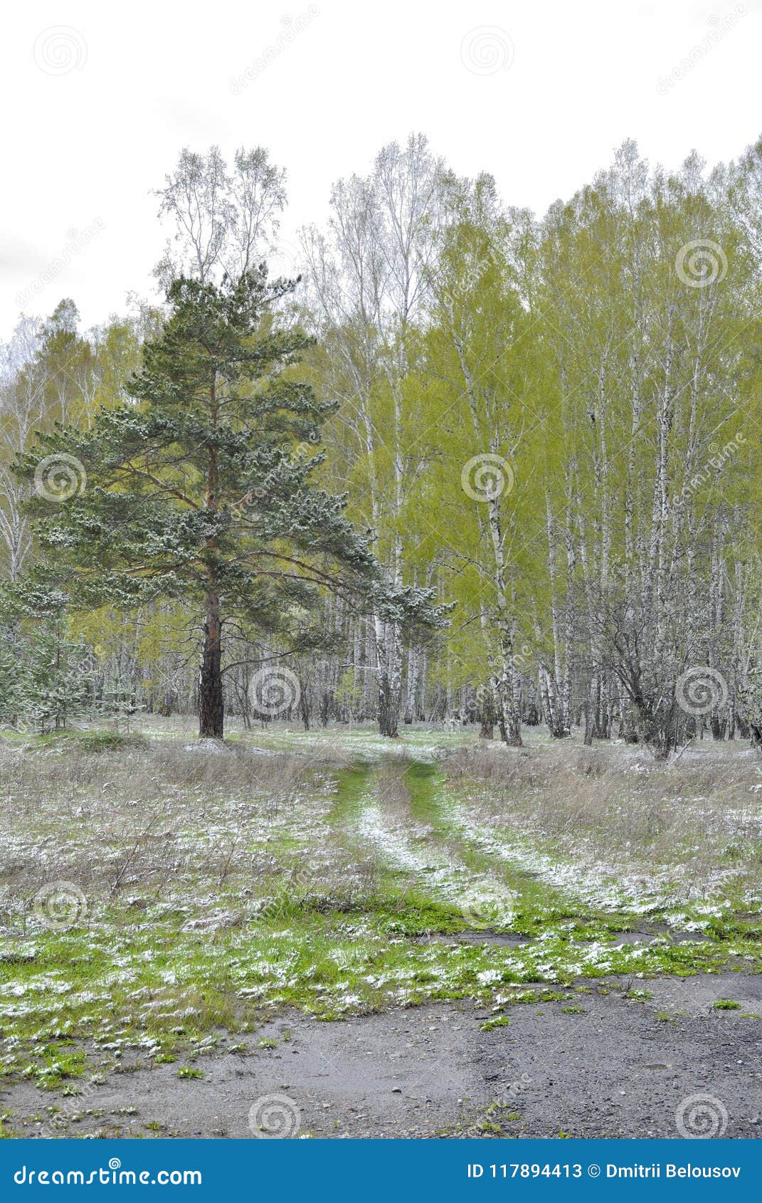 Unexpected snow in summer stock image. Image of winter - 117894413