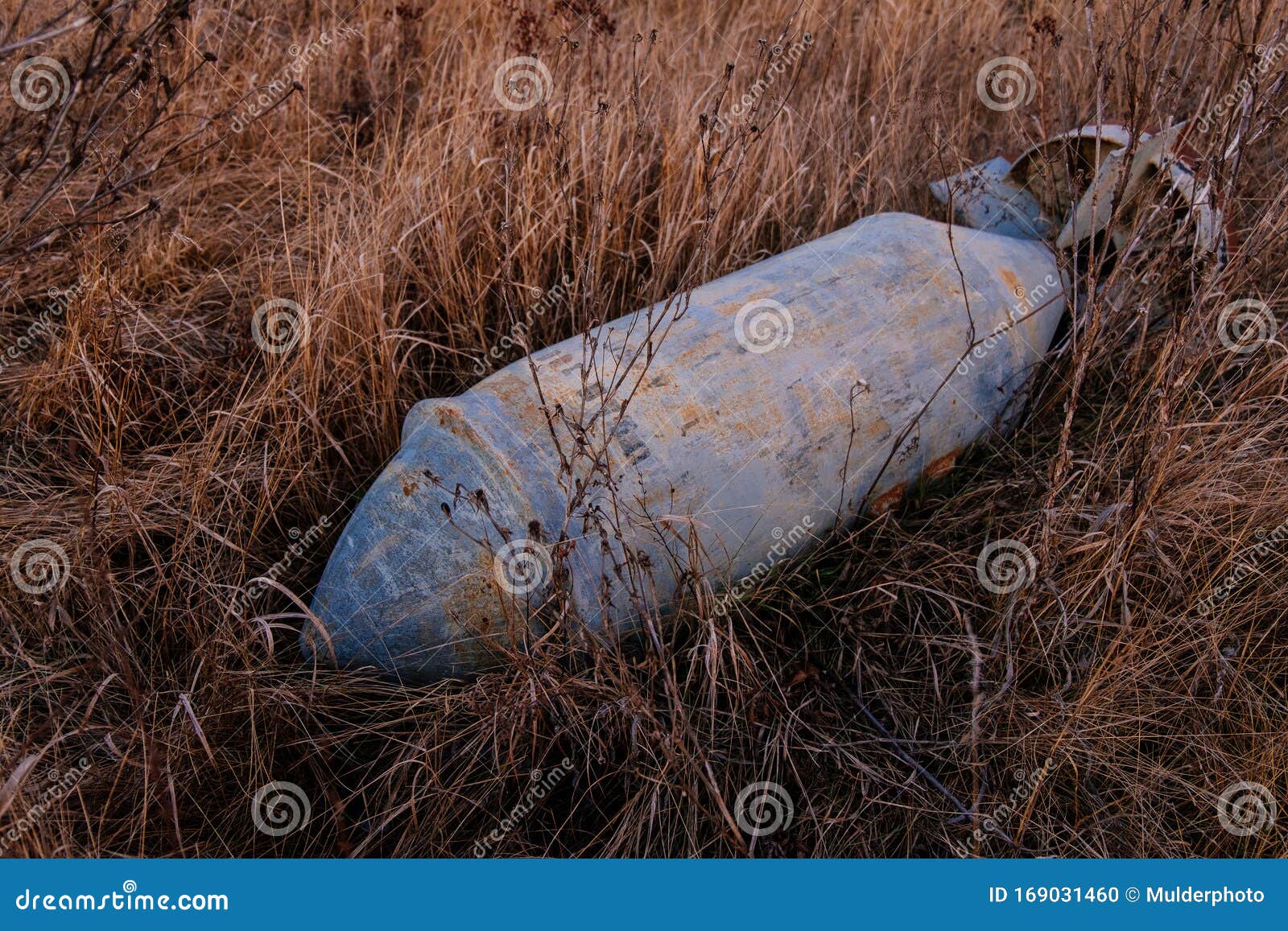 Unexploded Bomb in the Grass Stock Photo - Image of abandoned ...