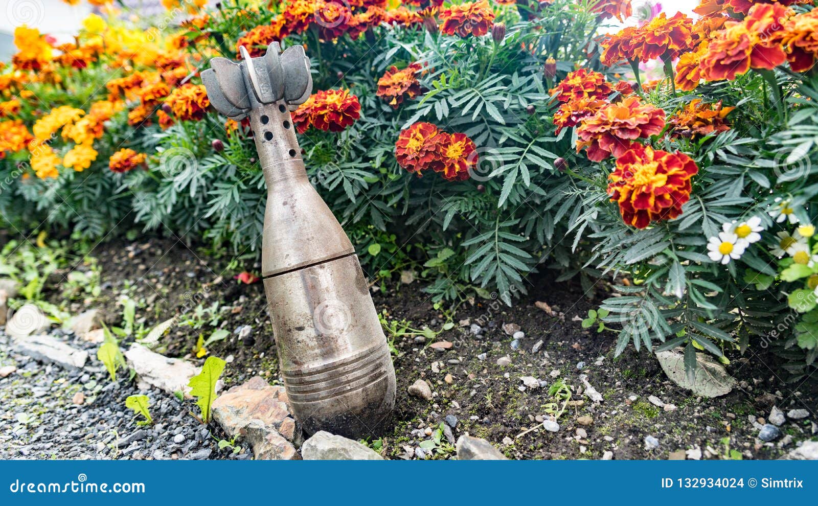 Unexploded Mortar Shell in Flower Bed Stock Photo - Image of genocide ...