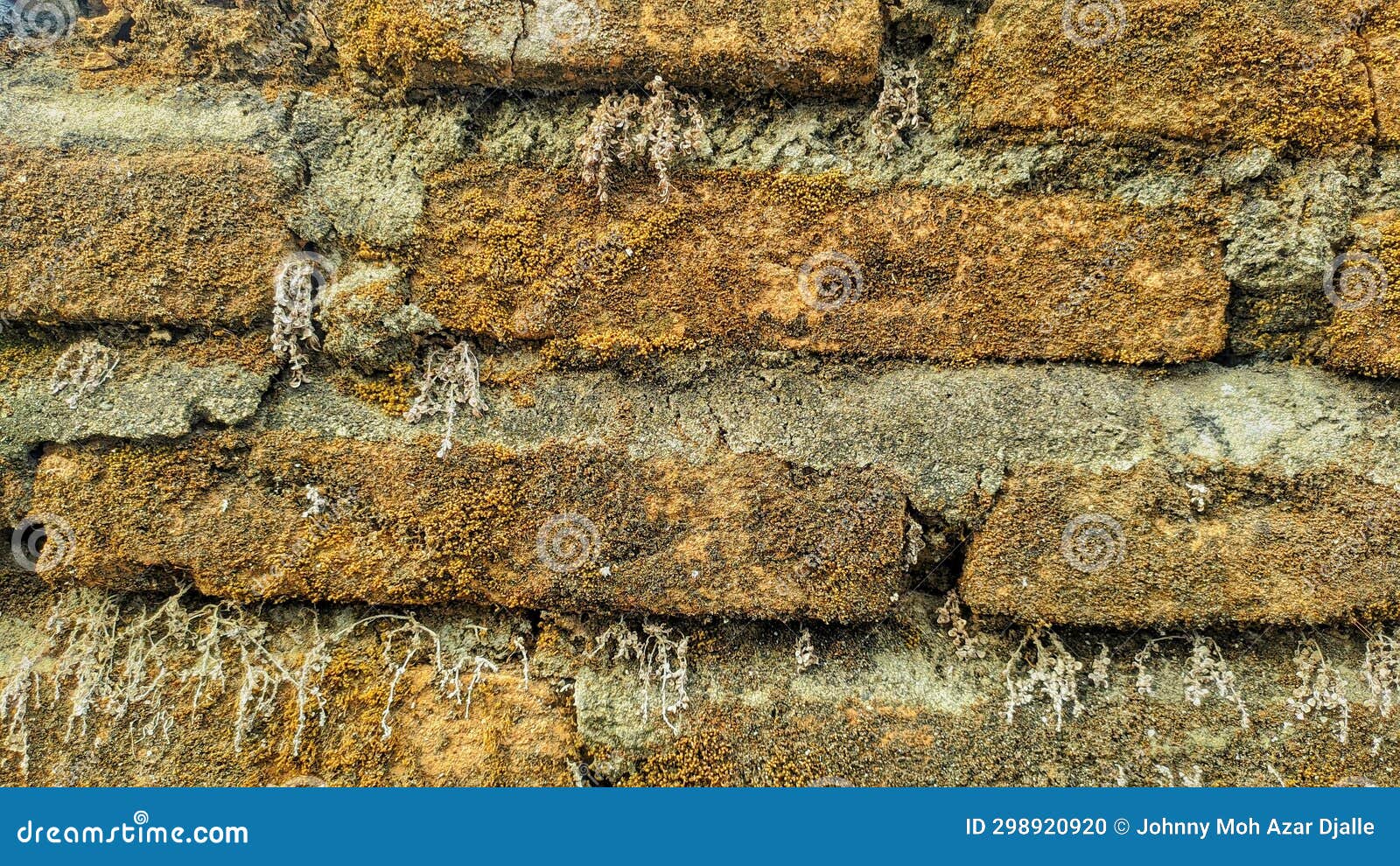 Unfinished Brick Wall Surface Stock Photo - Image of outdoor, brown ...