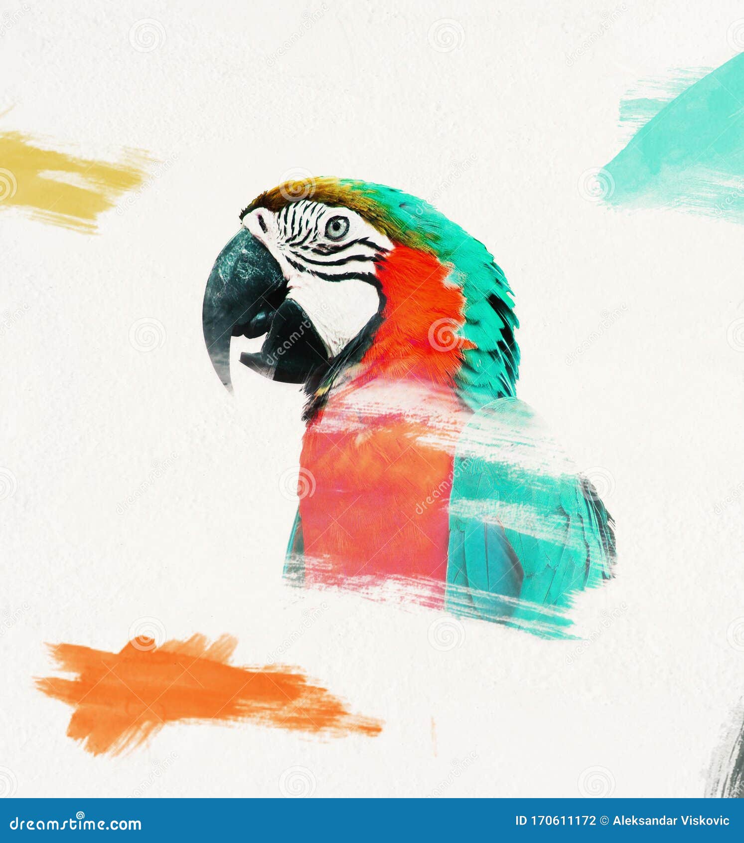 Unfinished Drawing Vector Illustration | CartoonDealer.com #12507438