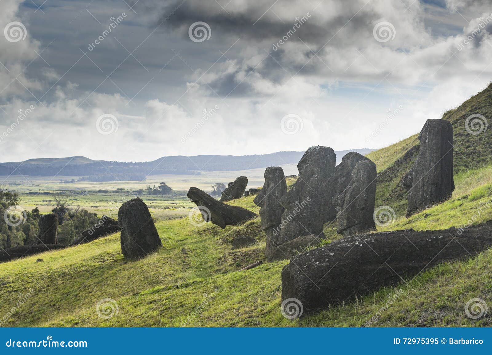Unfinished Moai Statue Being Carved At Rano Raraku Volcano Quarry In ...