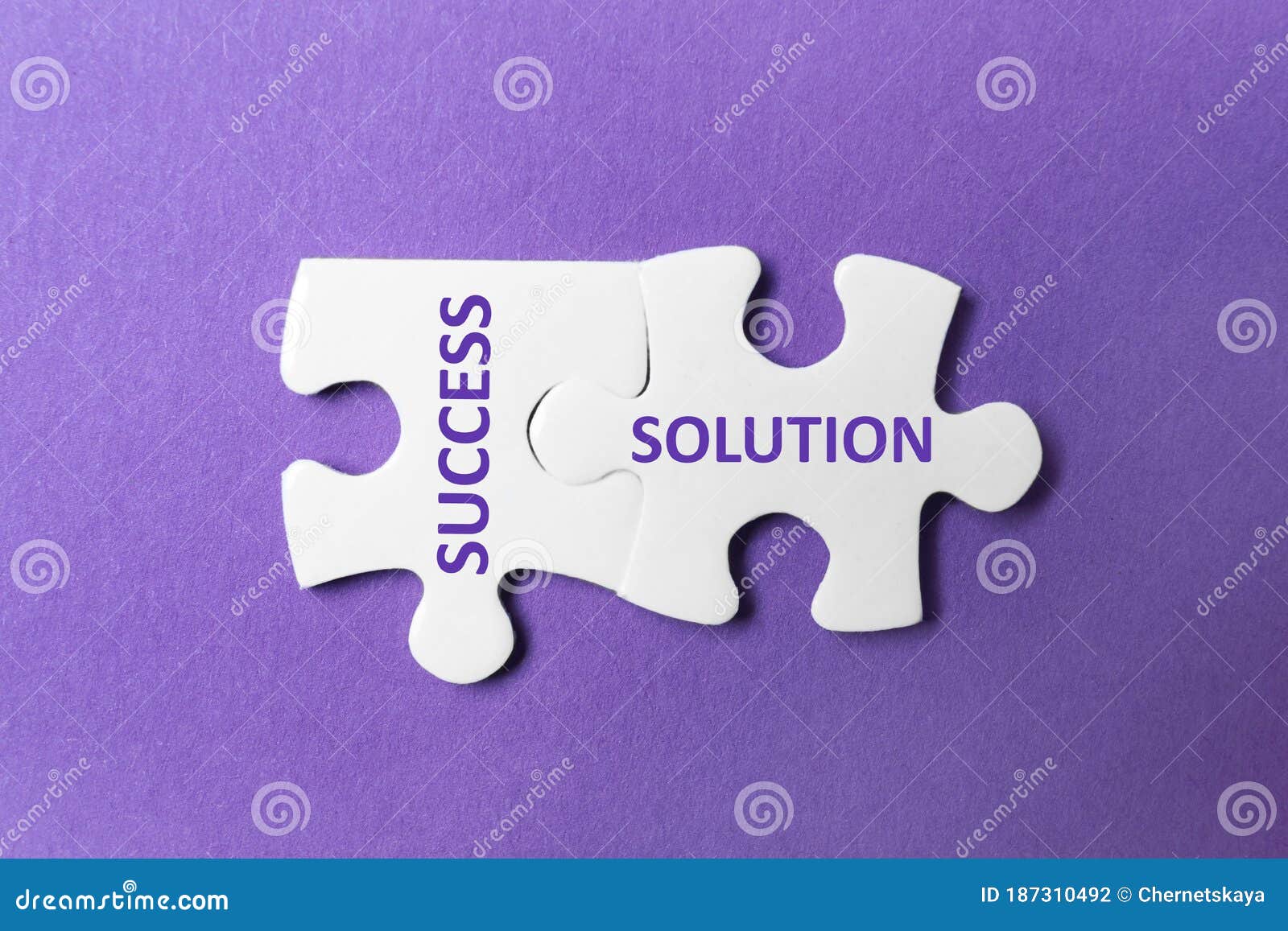 Unfitting White Puzzle Pieces with Words SUCCESS and SOLUTION on ...