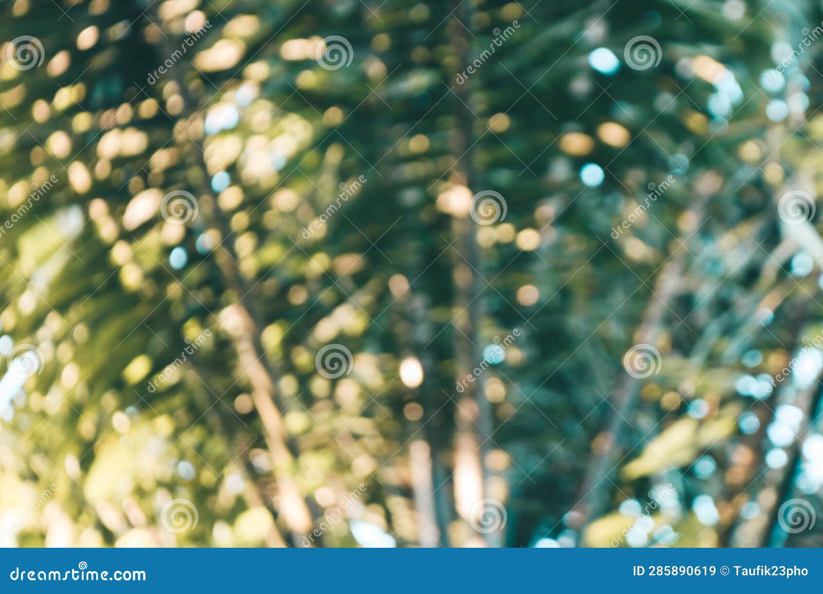 Unfocused Background of Green Leaves with Afternoon Sunlight Stock ...