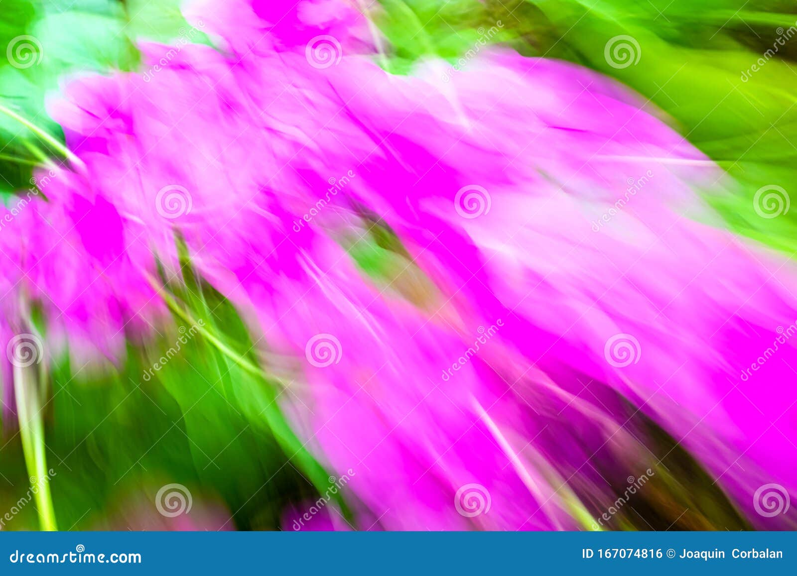 Unfocused Image with Movement of Intense Colored Flowers for Feeling ...