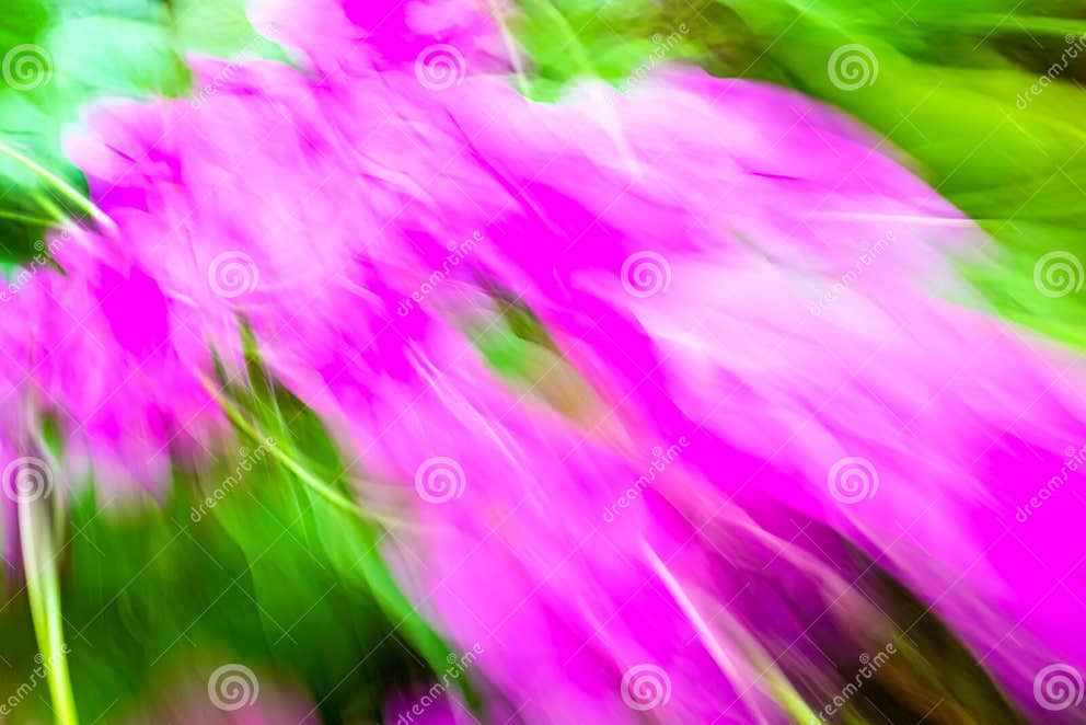 Unfocused Image with Movement of Intense Colored Flowers for Feeling ...
