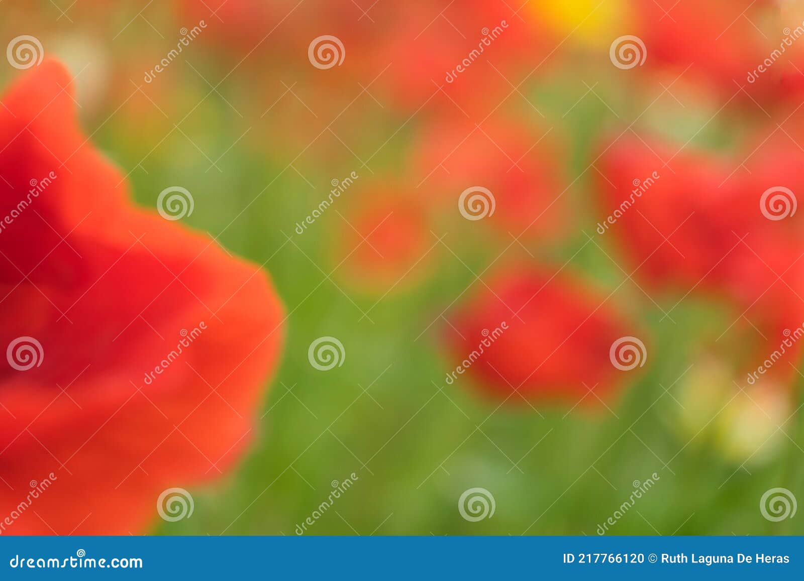 Unfocussed Abstract Background in Red and Green Colors Stock Photo ...
