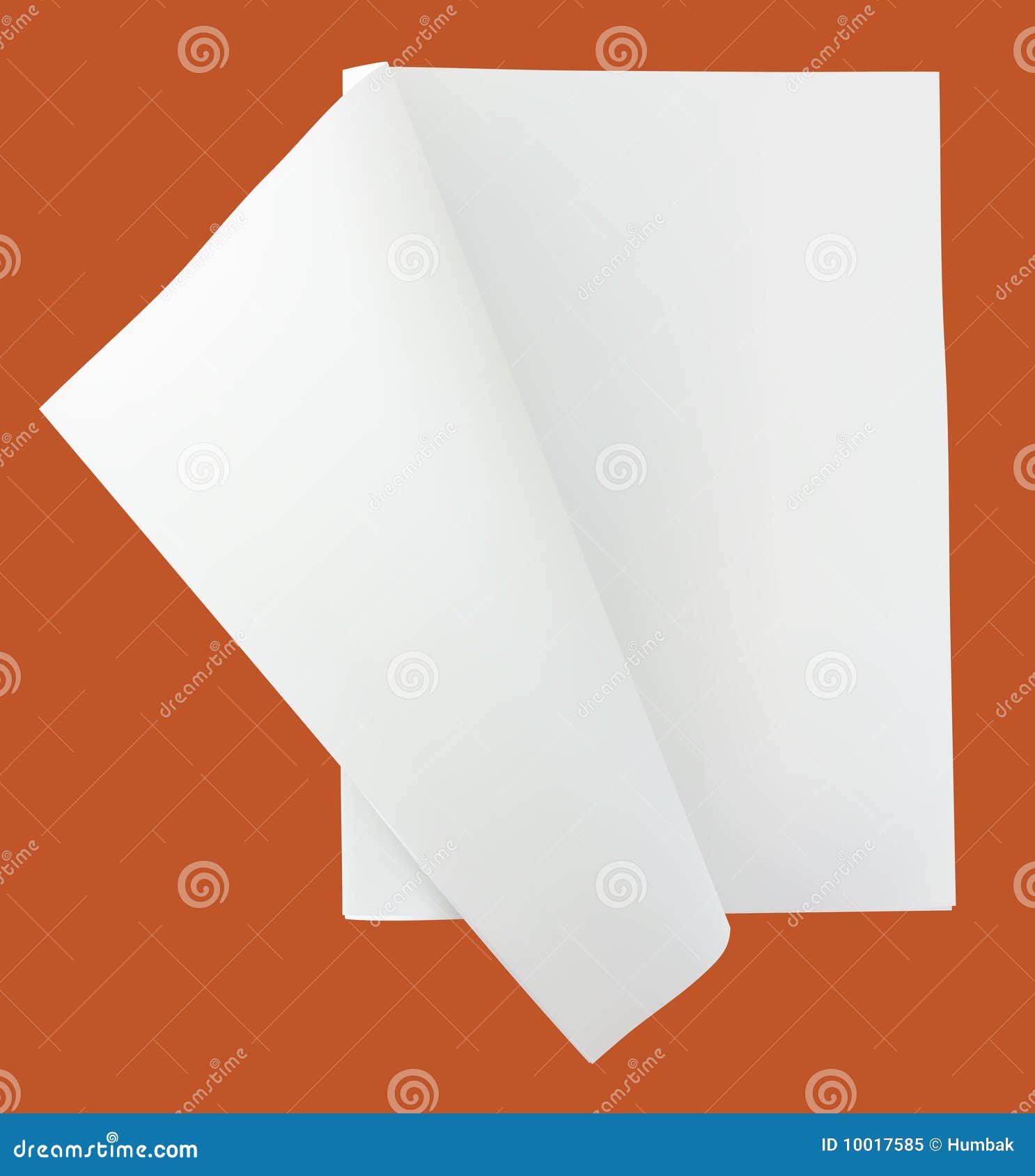 Unfolded Blank Newspaper Picture. Image: 10017585