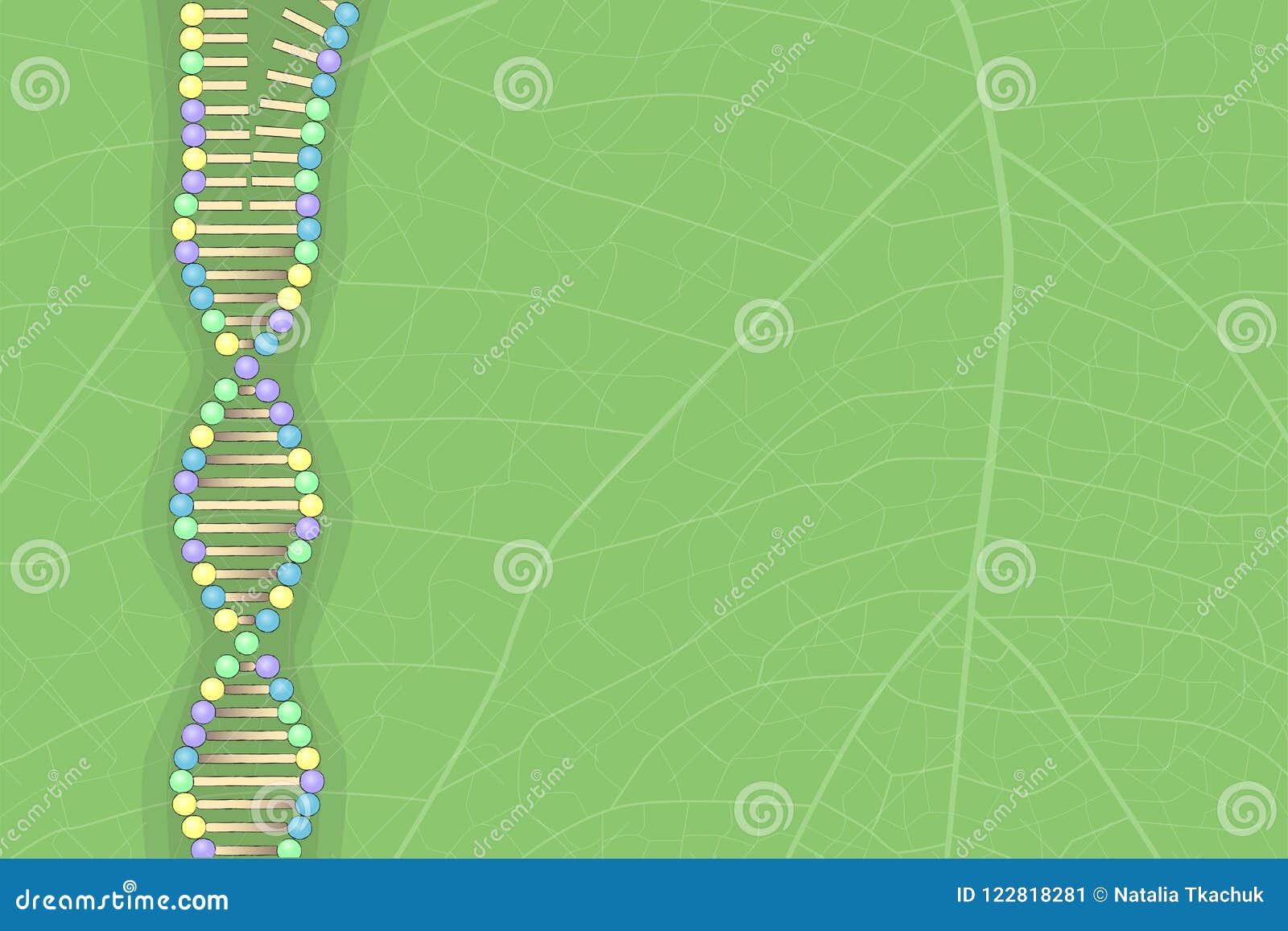 Unfolding DNA Molecule on Leaf, Vector Illustration Stock Vector ...