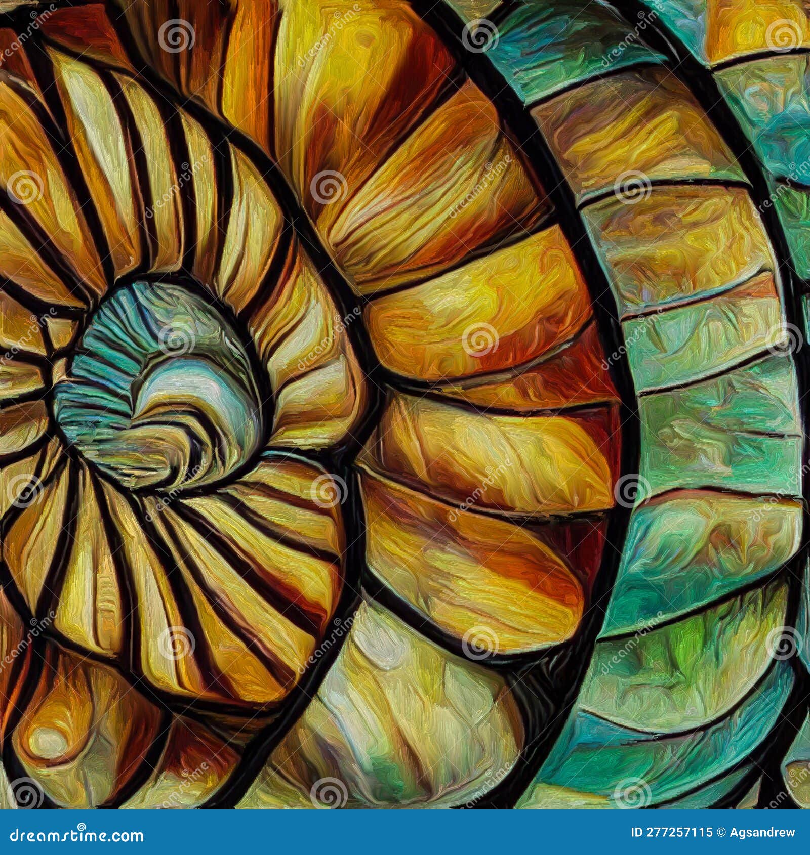 Unfolding of Nautilus stock image. Image of energy, creativity - 277257115