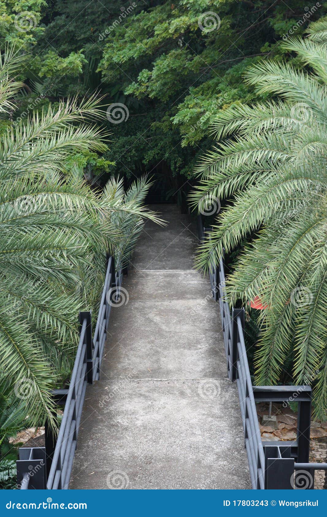 Unfortune stock image. Image of outdoor, environment - 17803243