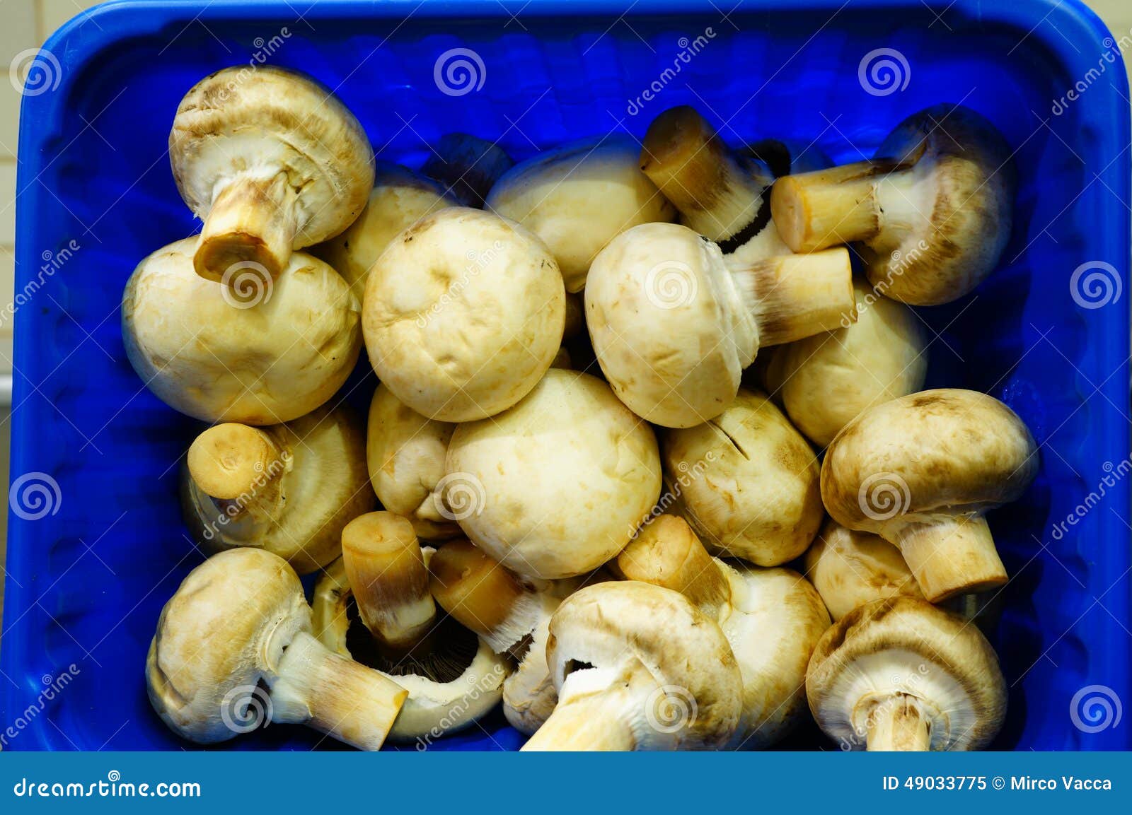 Unfresh mushrooms stock image. Image of unfresh, tuber - 49033775