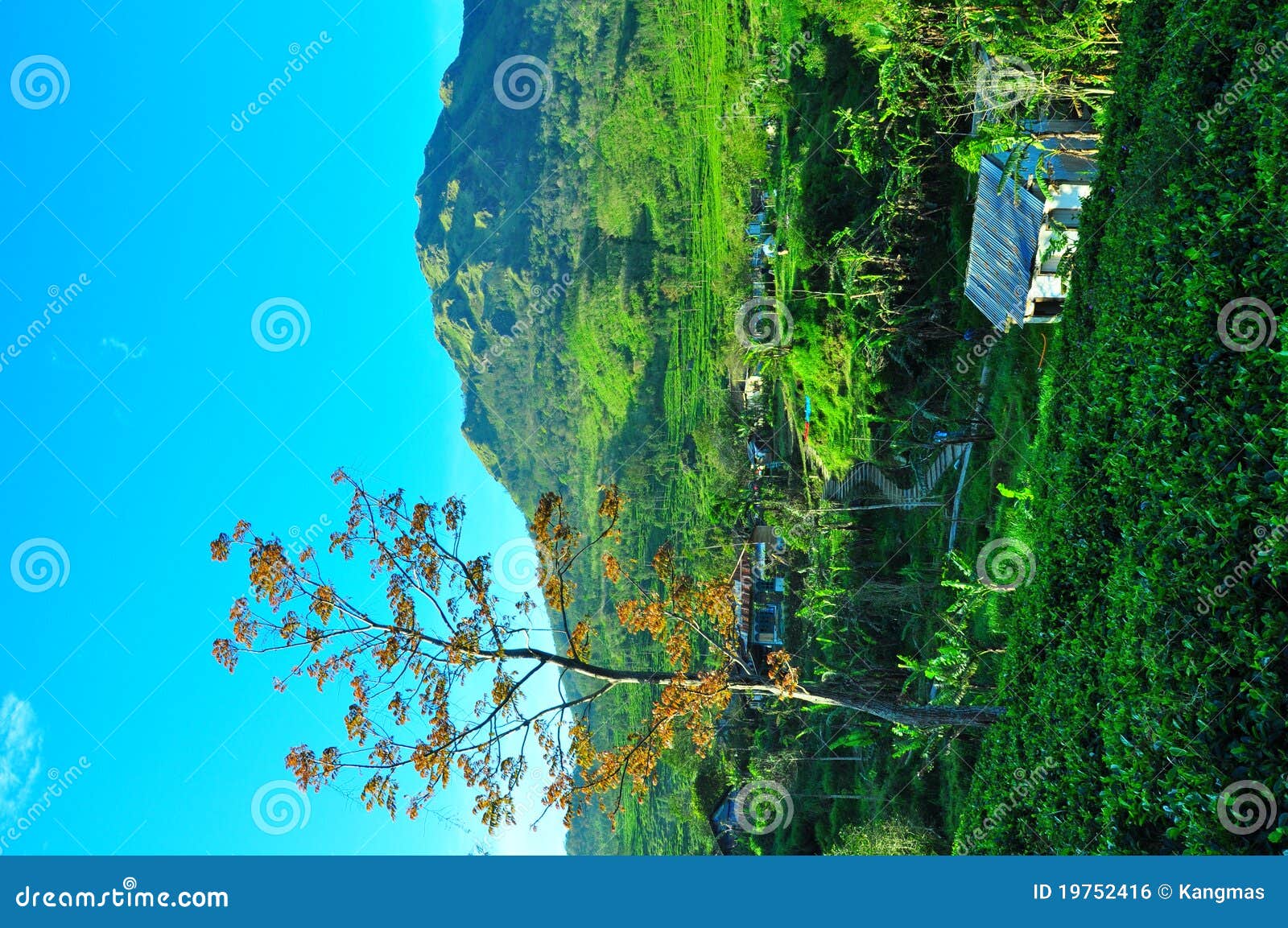 Ungaran Mountain stock photo. Image of nature, joko, prasetyo - 19752416