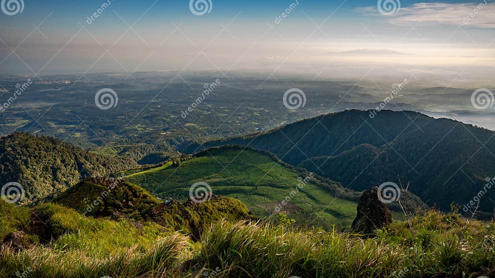 Ungaran Mountain stock image. Image of roam, tree, ungaran - 217247401
