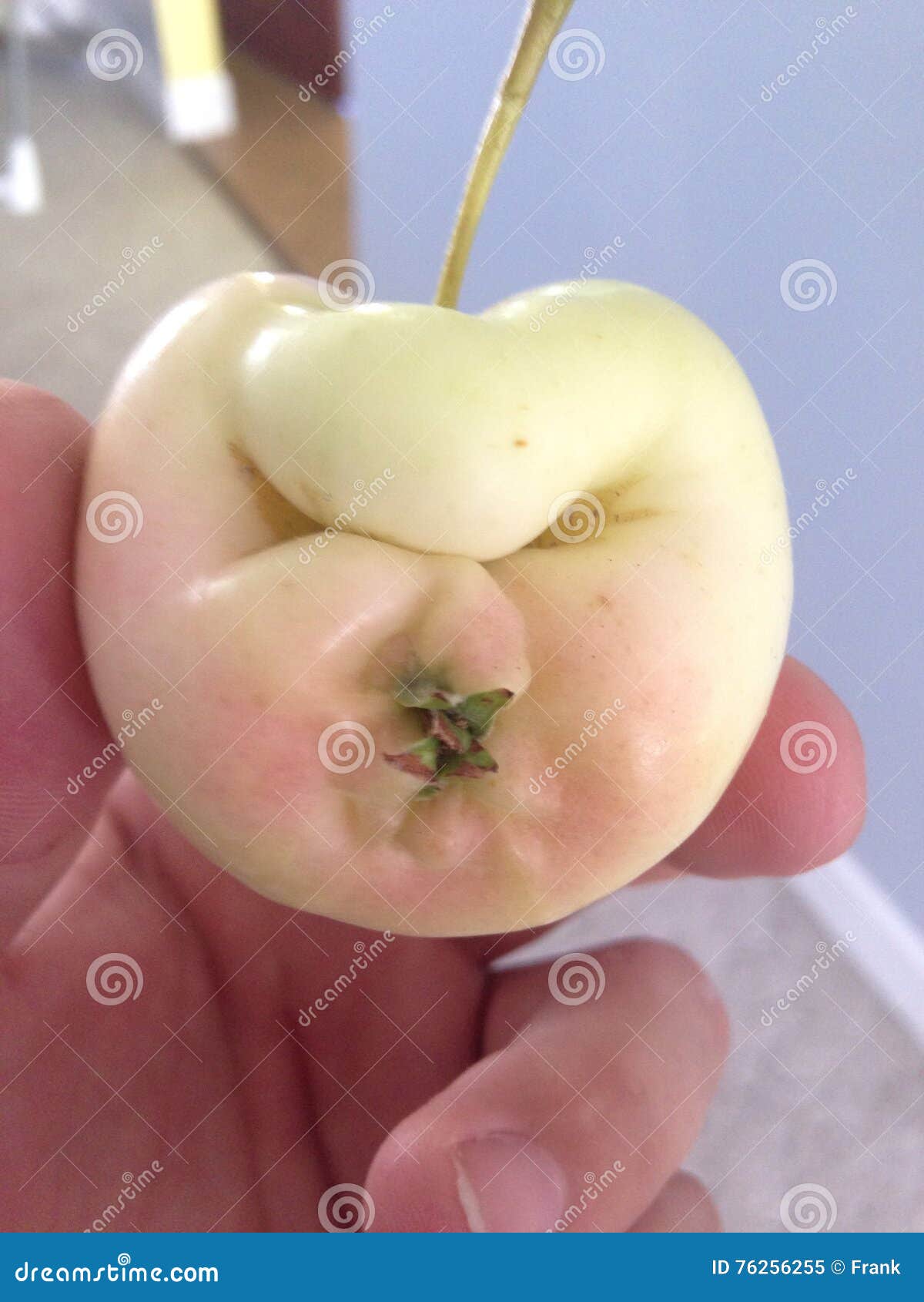 Unhappy Apple stock image. Image of apple, unhappy, angry - 76256255