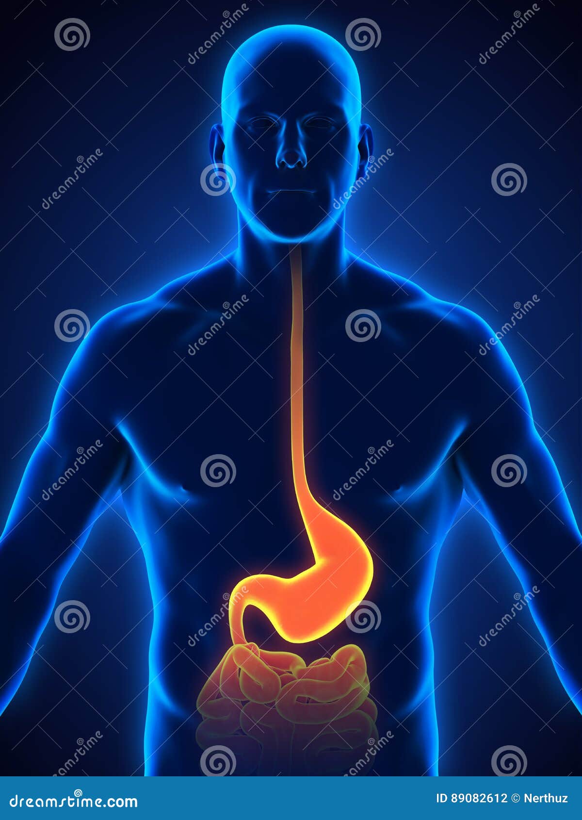 Unhealthy Human Liver