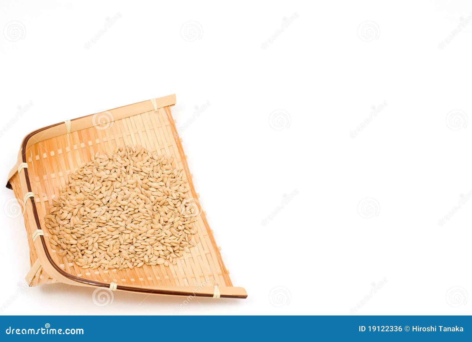 Unhulled rice stock photo. Image of ingredient, harvesting - 19122336