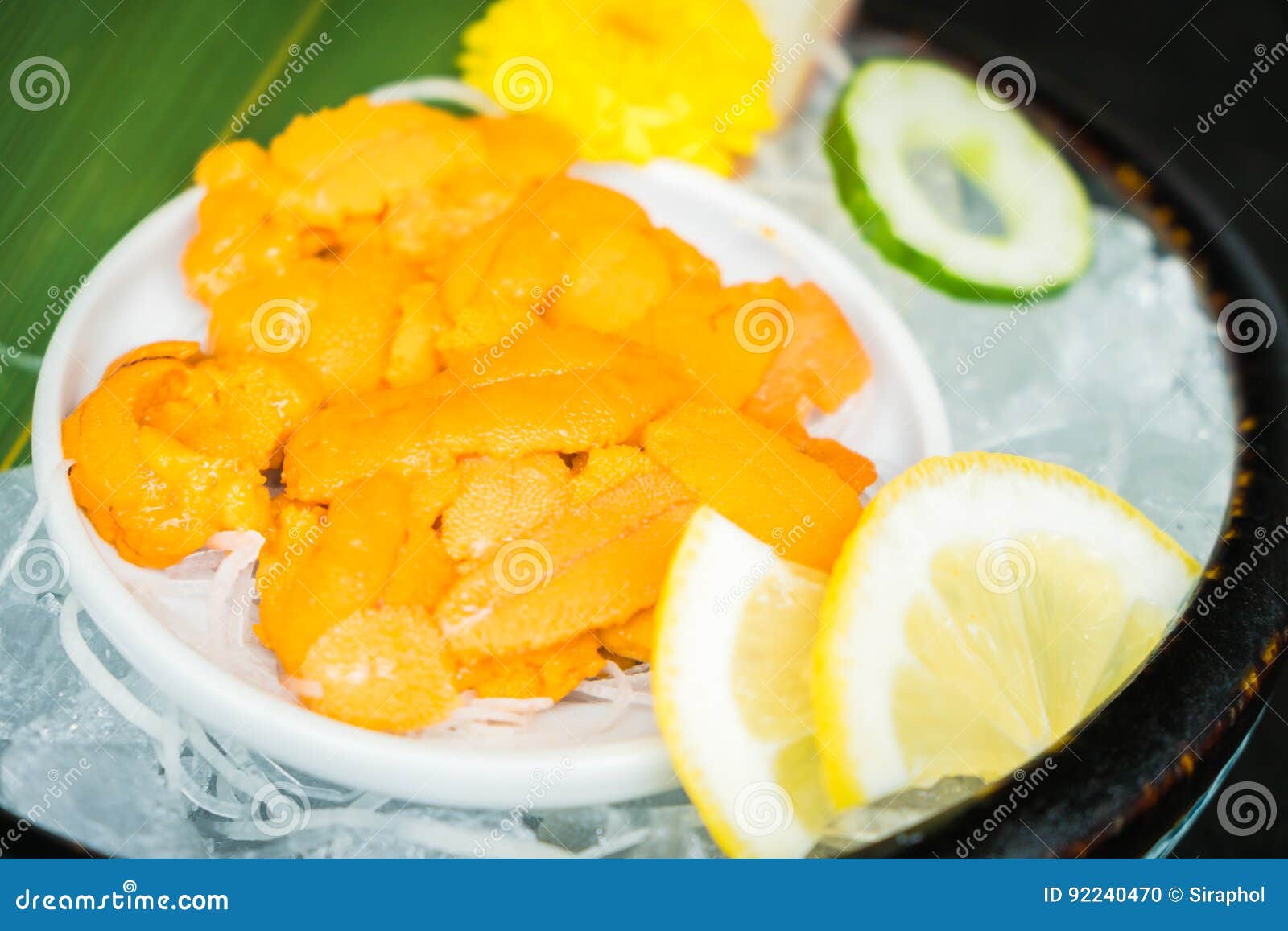 Uni sashimi stock photo. Image of hokkaido, urchin, ingredient - 92240470