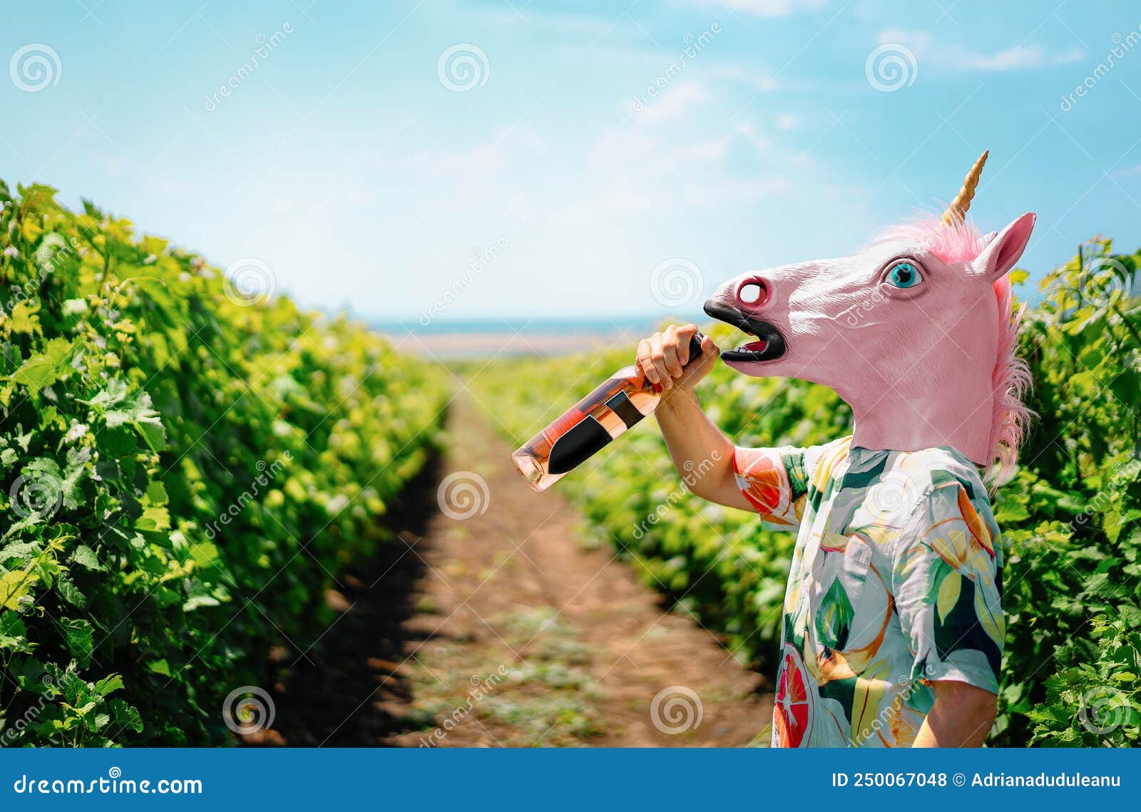 Unicorn drinking wine stock photo. Image of wine, unicorn - 250067048
