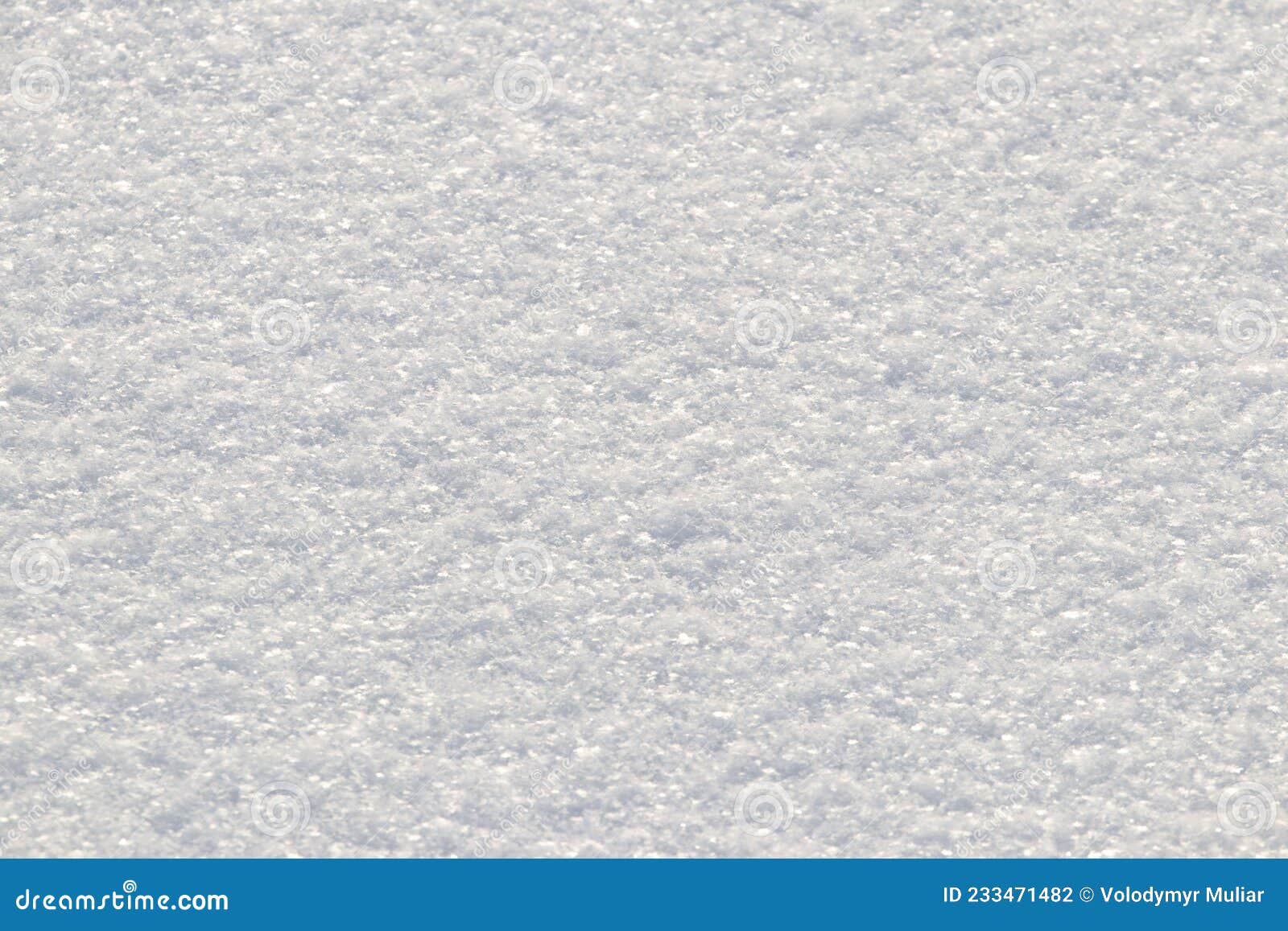 Uniform Snow Cover. Snow Texture on a Flat Plot of Land Stock Photo ...