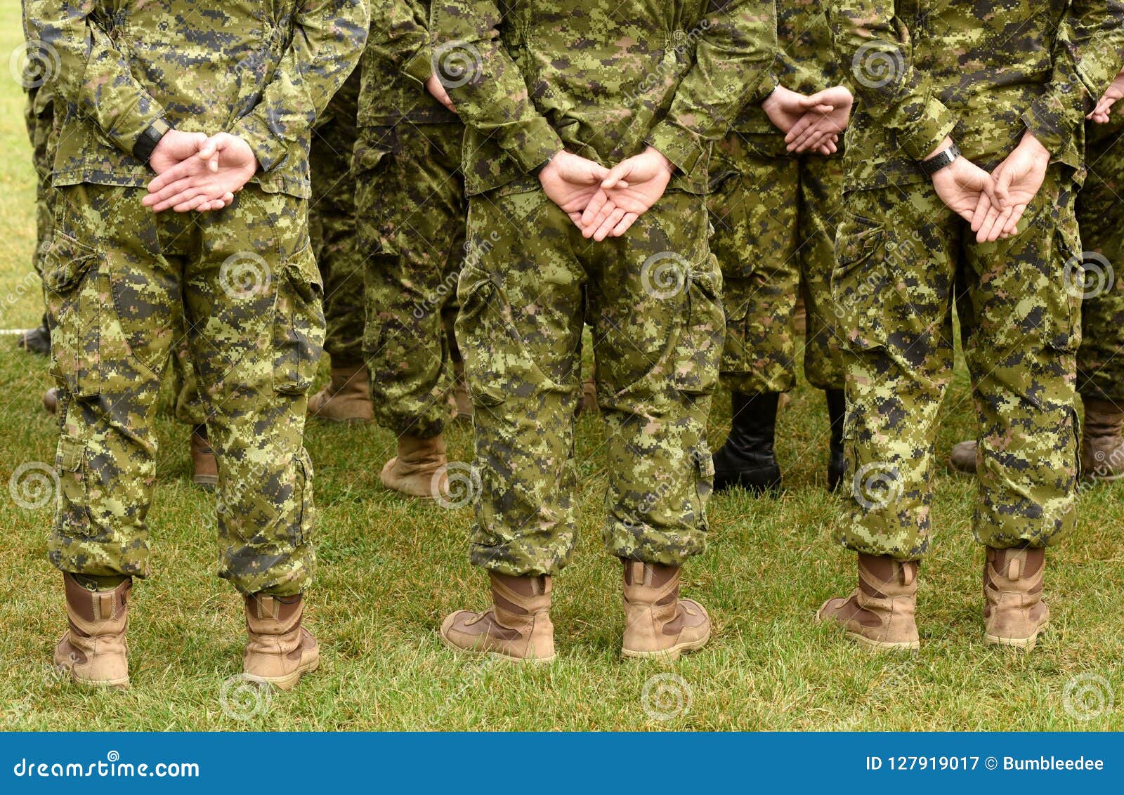Uniforme Militaire De Canada Troupes Canadiennes Image stock - Image du ...