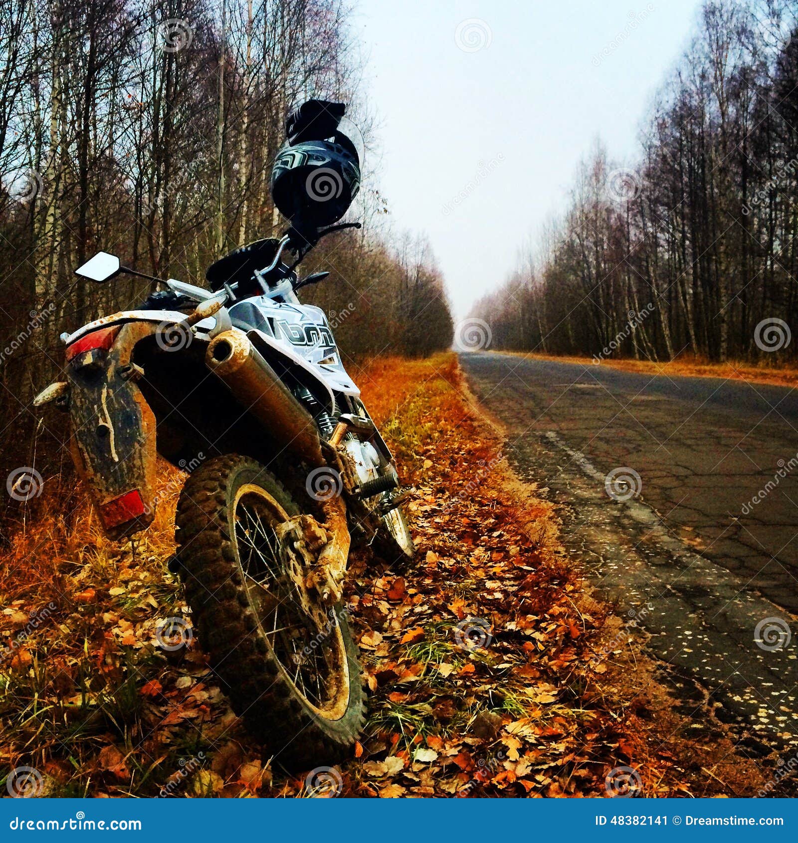 Unimaginable Beauty of Spring Editorial Photo - Image of spring ...