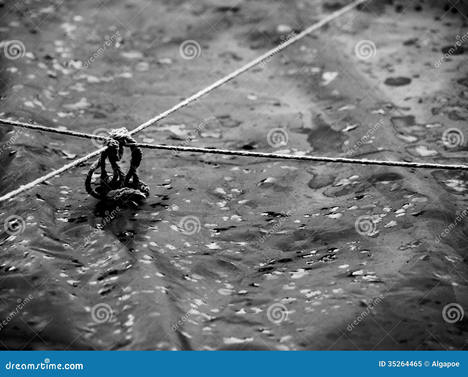 Union human resources team stock image. Image of security - 35264465