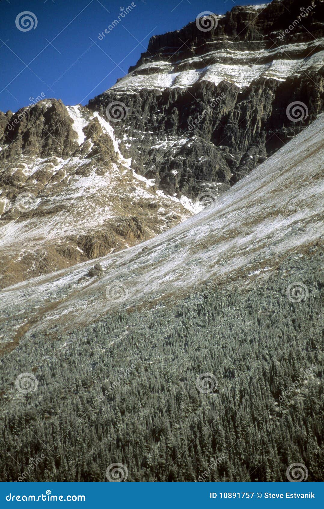 Union Infantry Hold Their Line Stock Image - Image of peak, stripes ...