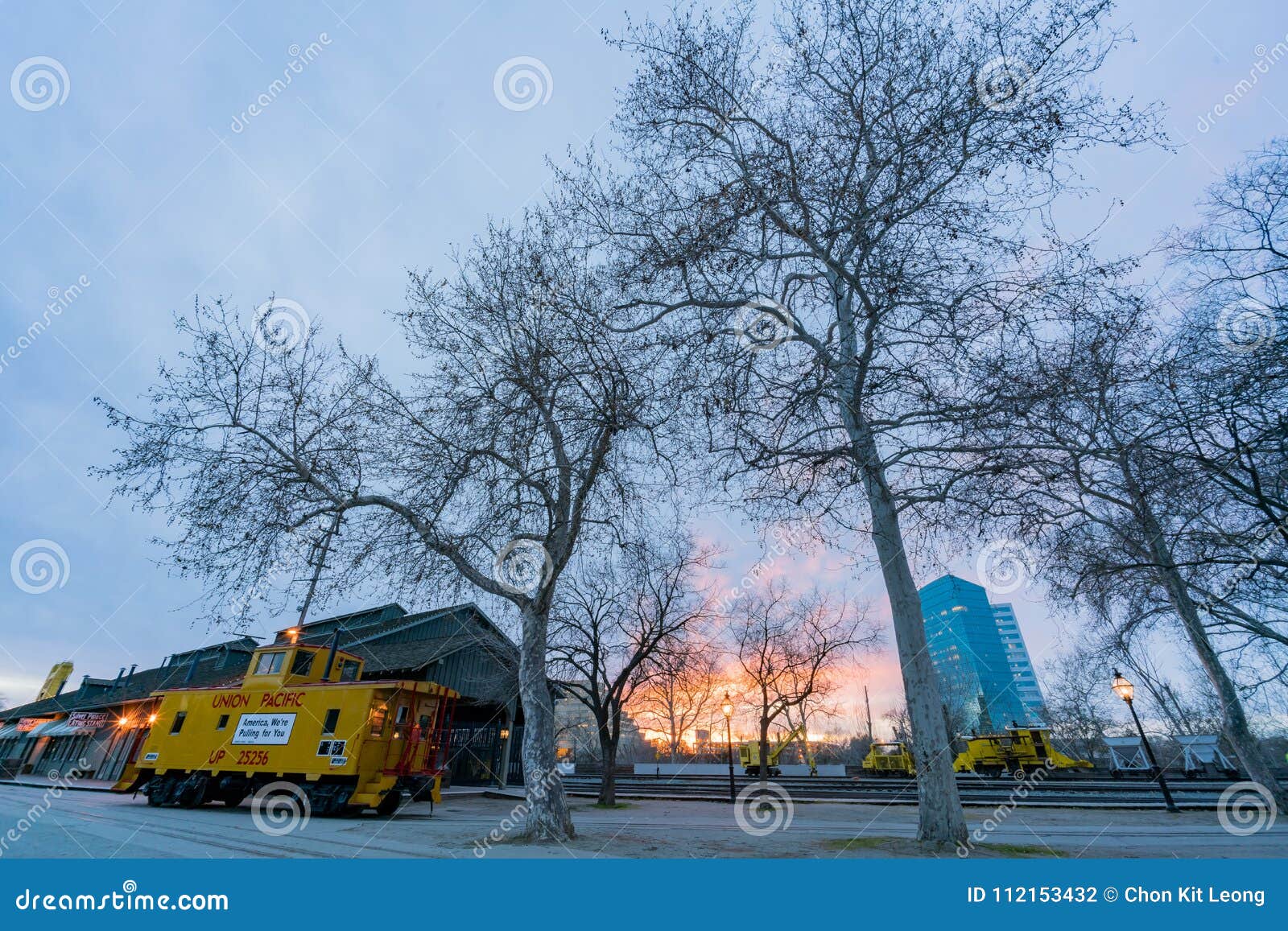 Union Pacific Train and Tree Stock Photo - Image of district, union ...