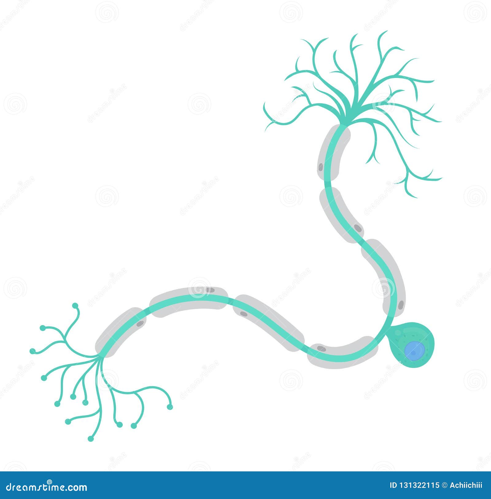 Unipolar Neuron Artwork Stock Image C0206366