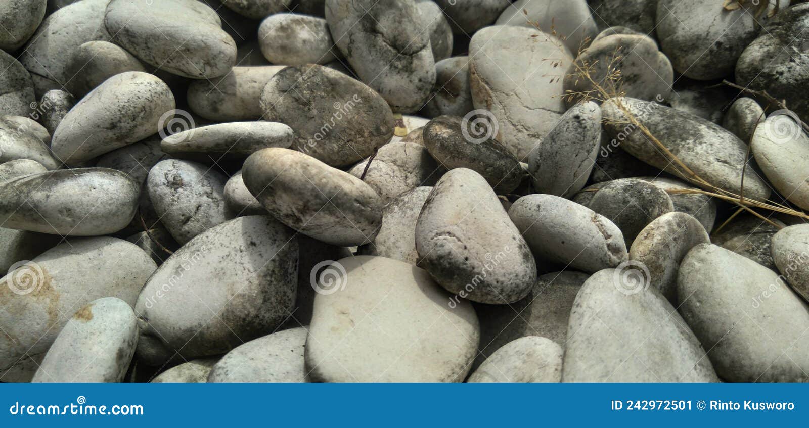 Unique and Attractive White Small Stone Stock Image - Image of gravel ...
