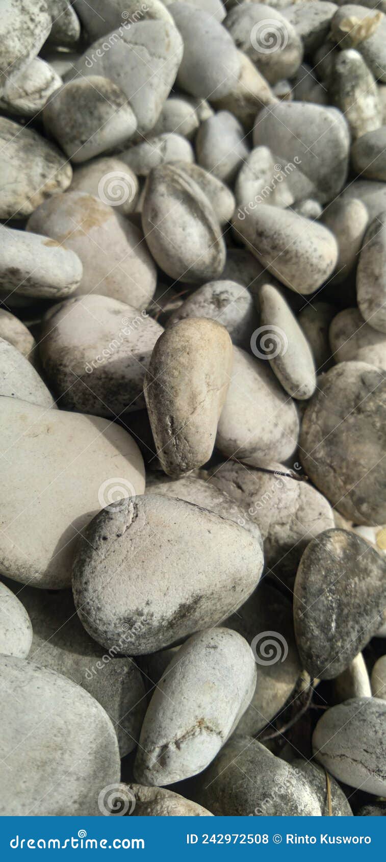 Unique and Attractive White Small Stone Stock Photo - Image of ...