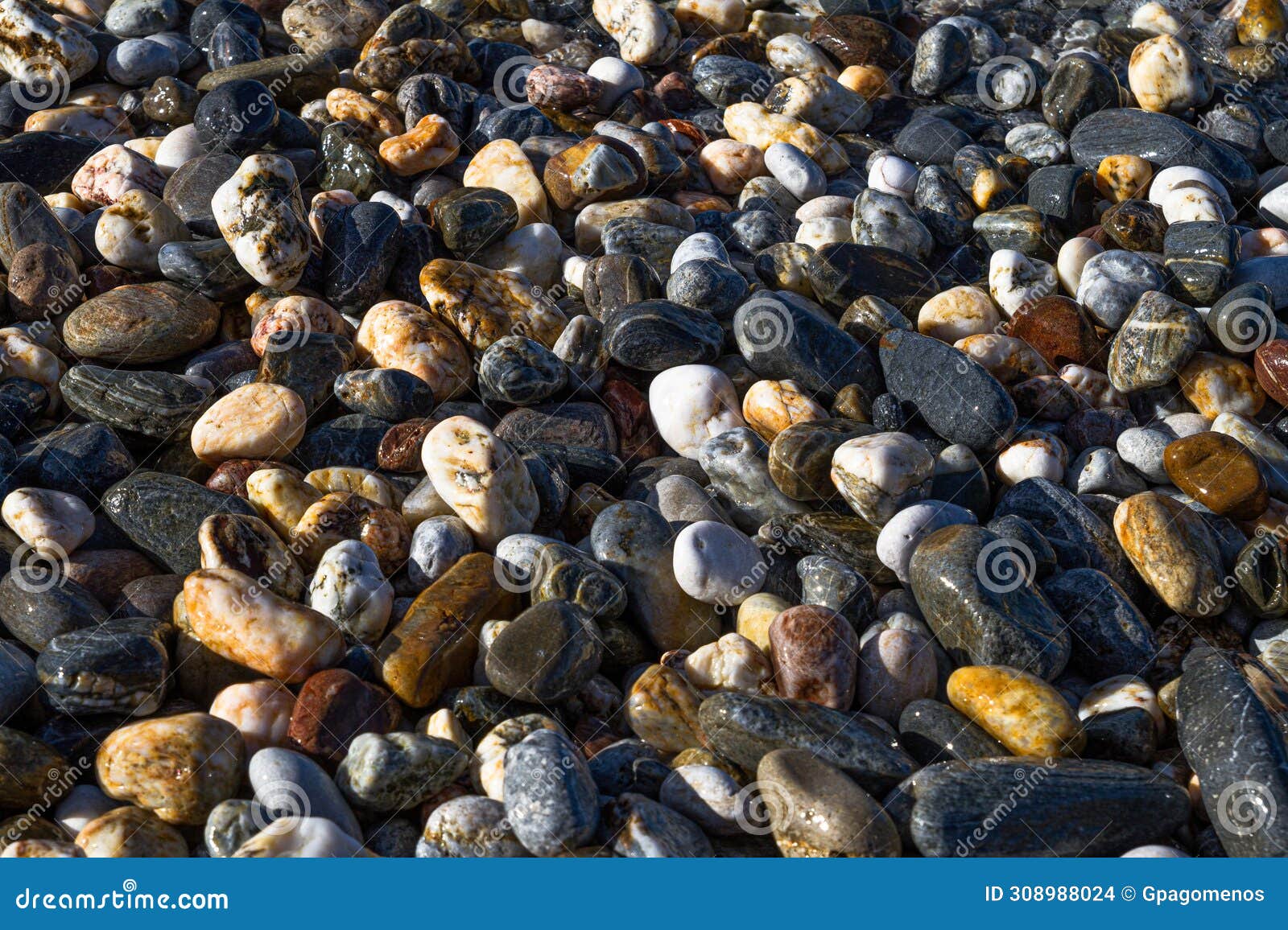 Unique Background Texture Pattern Colorful Wet Pebble Stones on the ...