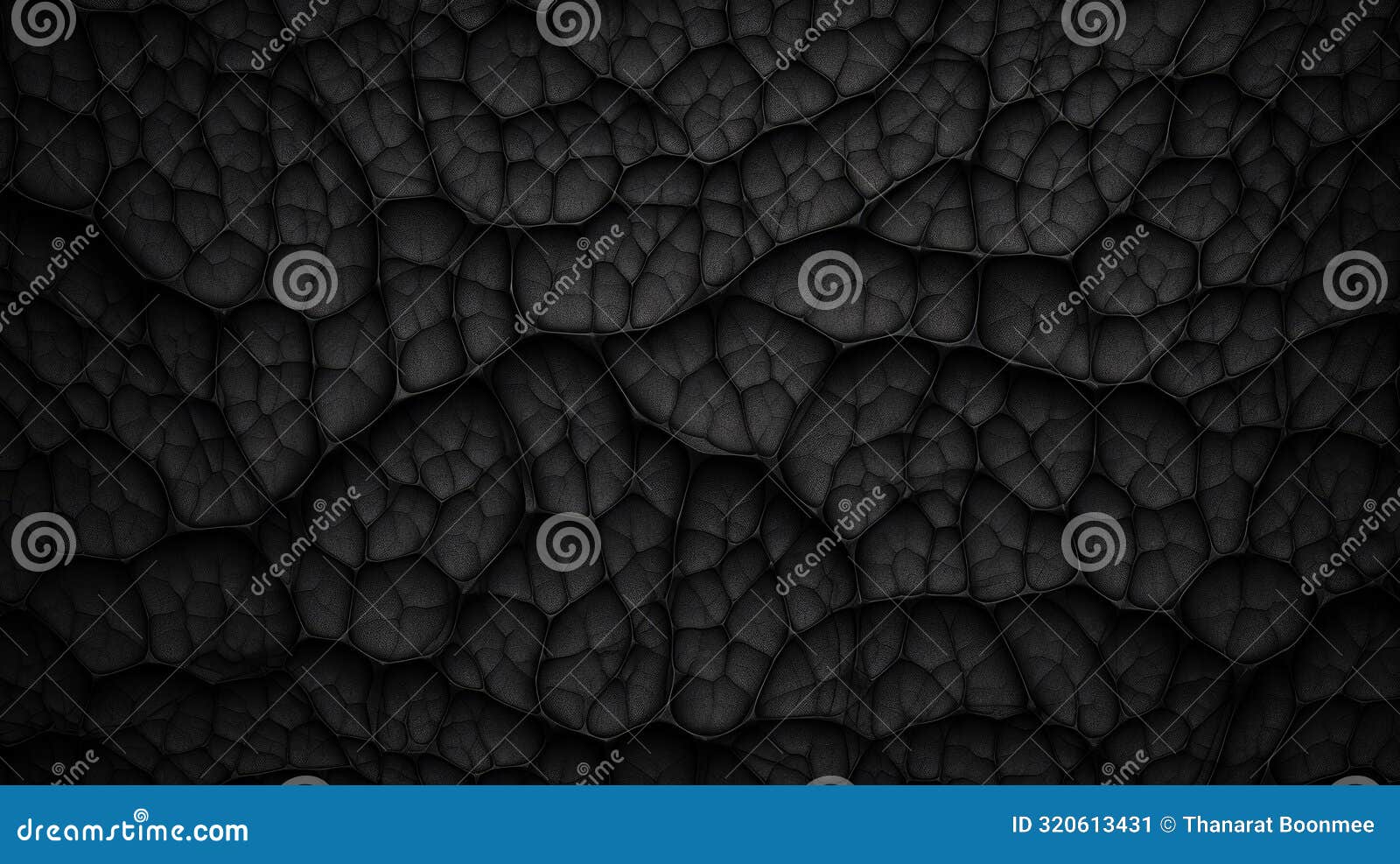 Unique Bat Wing Textures with Detailed Membrane and Intricate Patterns ...