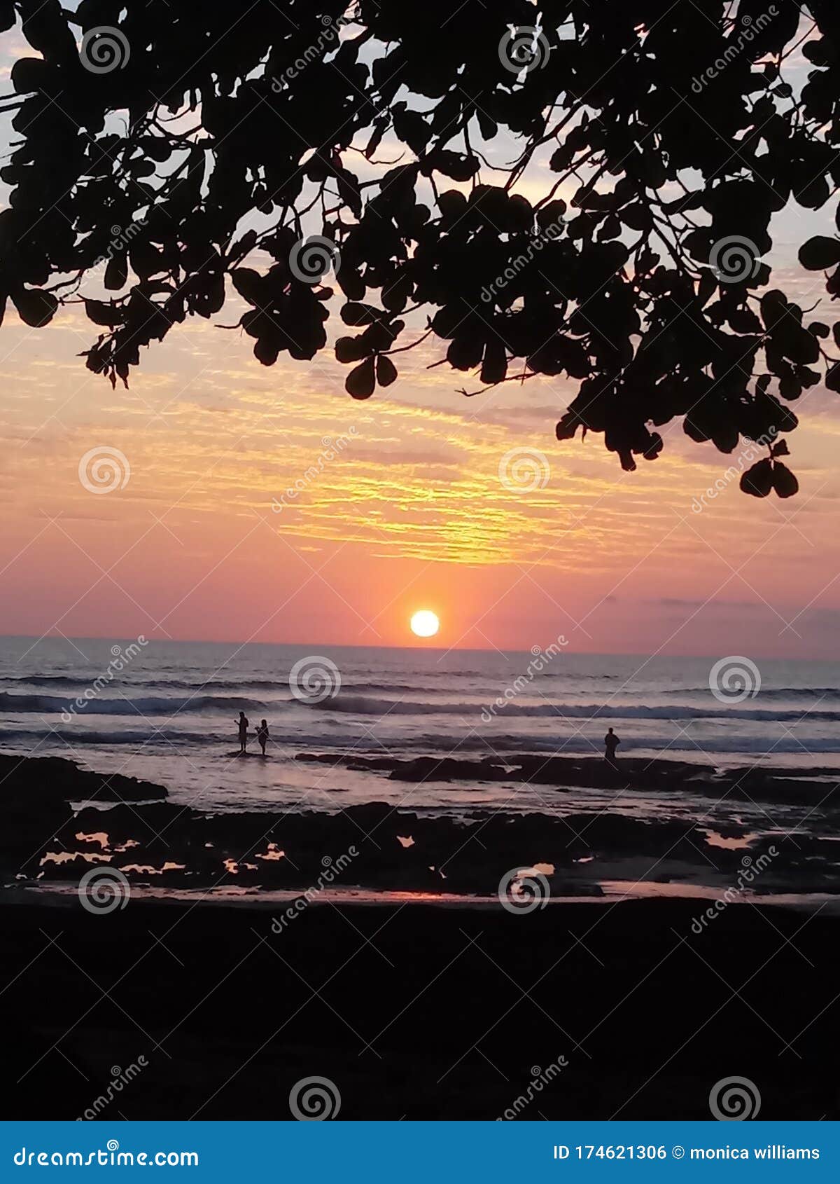 Unique stock photo. Image of life, beach, unique, sunset - 174621306