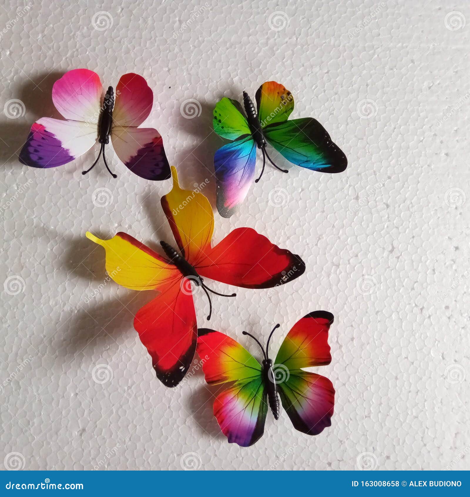 Unique Butterfly Images with Rich Colors Stock Photo - Image of ...