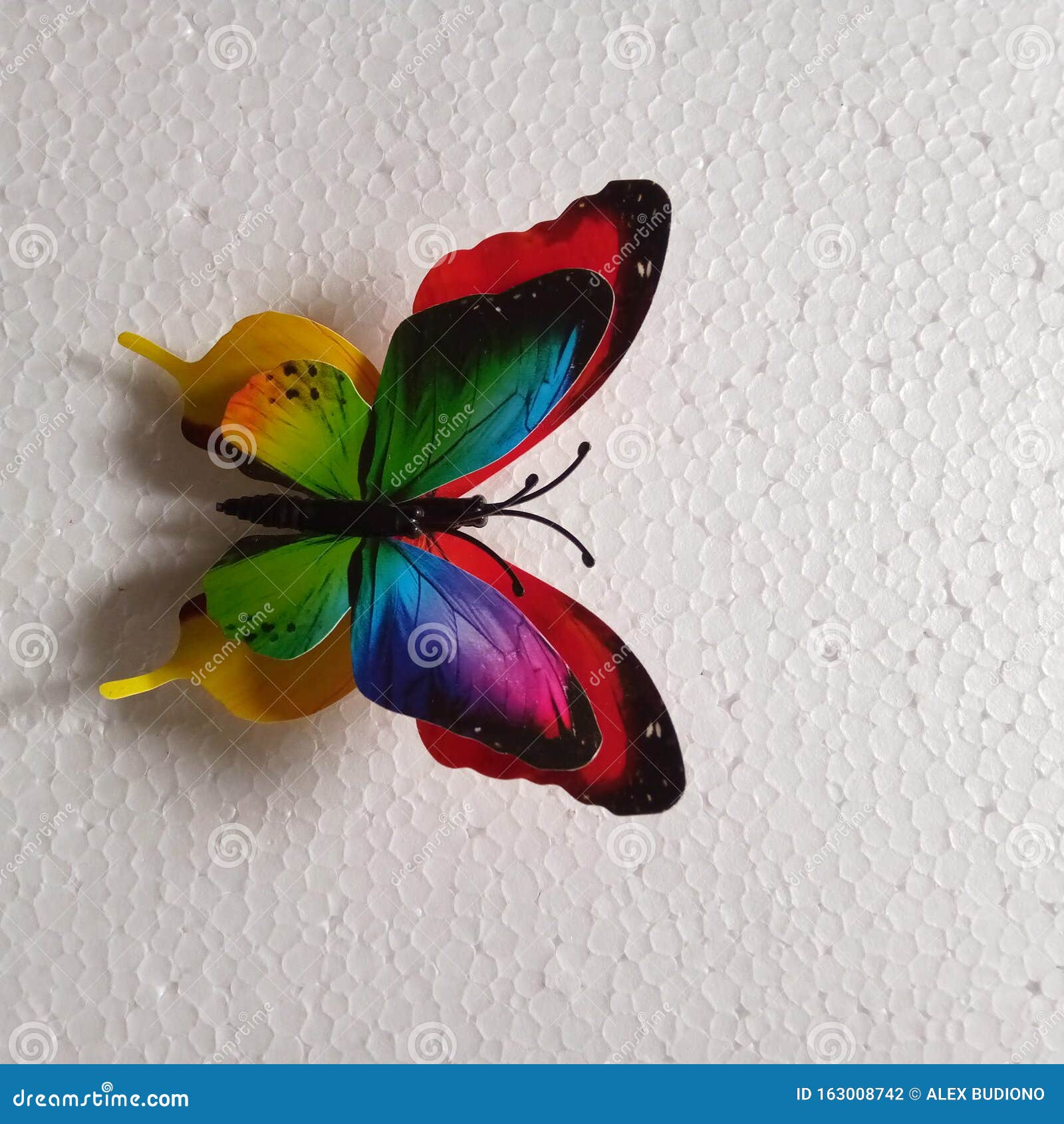 Unique Butterfly Images with Rich Colors Stock Photo - Image of colors ...