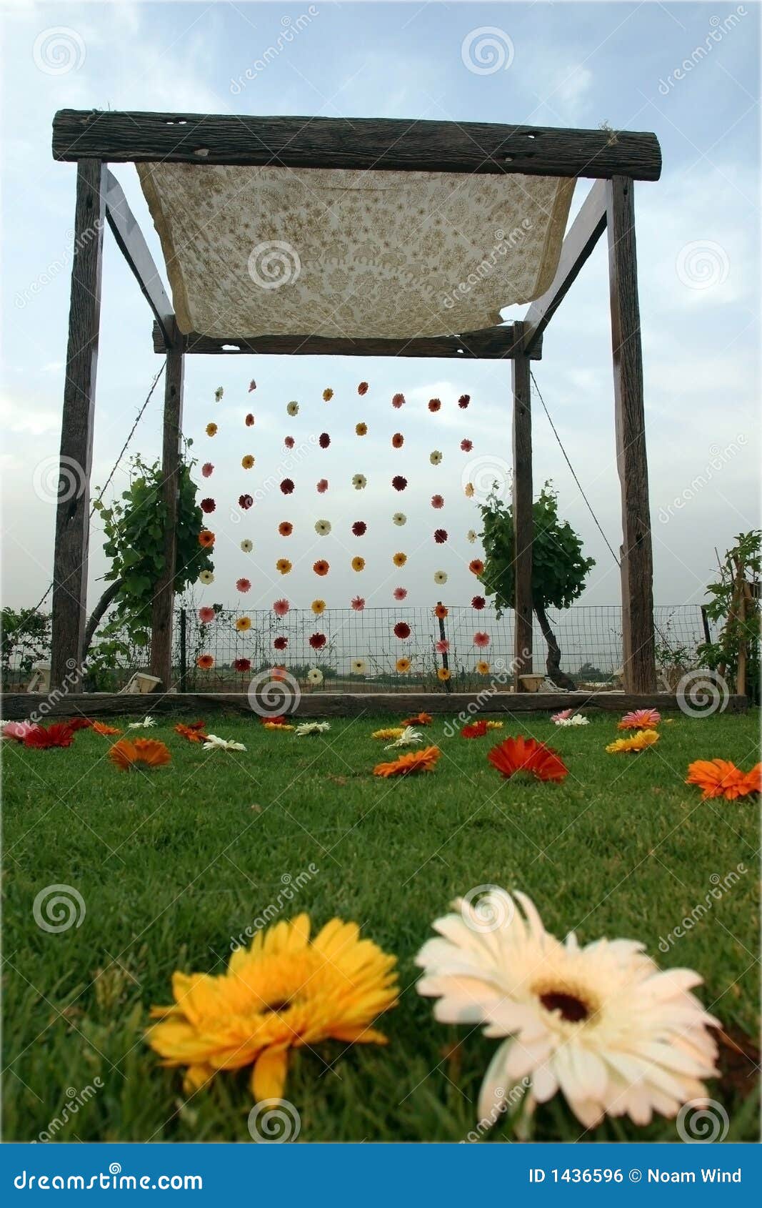 Unique Chuppa stock photo. Image of chuppah, tradition - 1436596