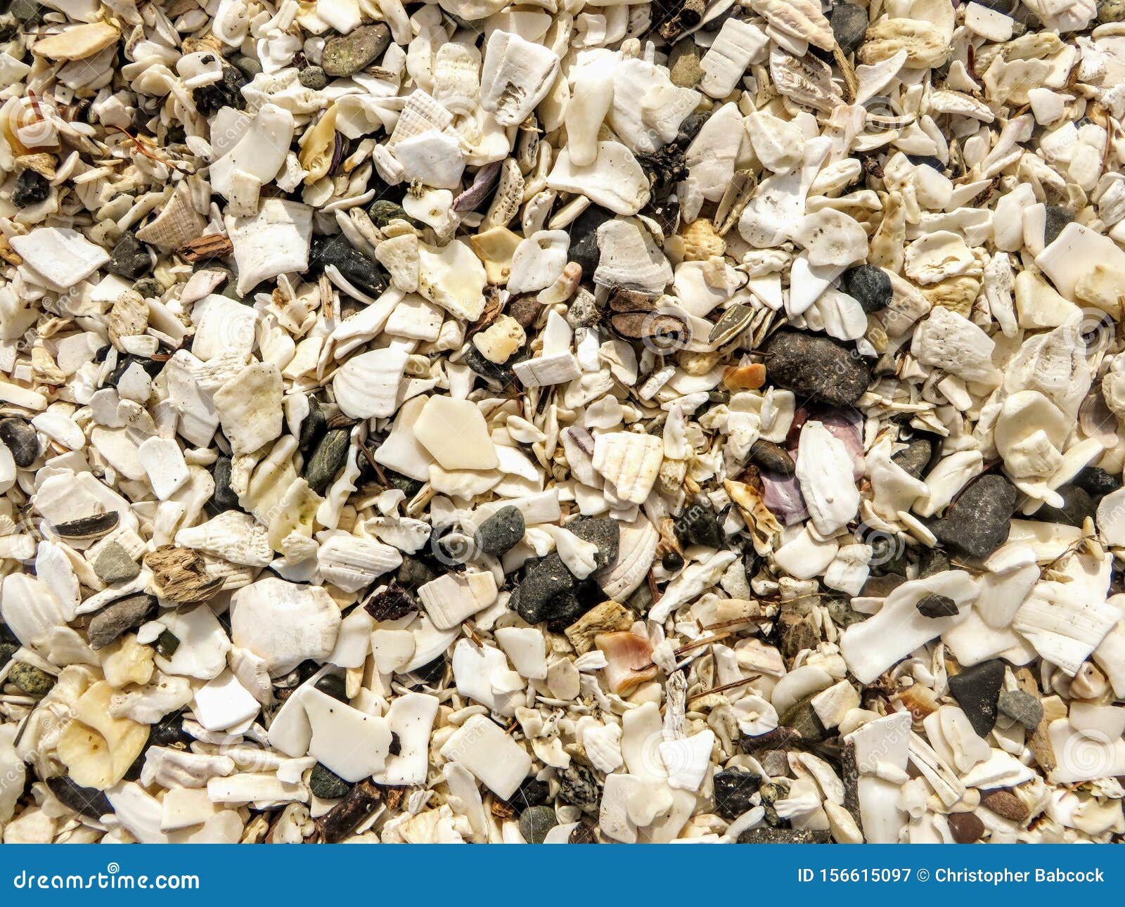 A Unique and Colorful Background Collage of Rocks and Shells from a ...