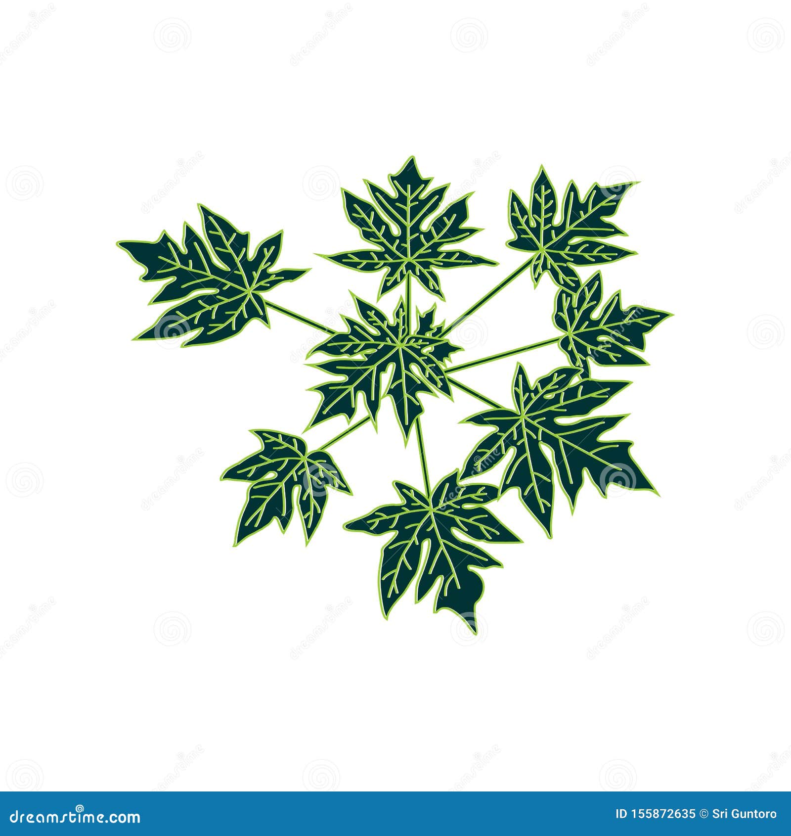 Unique Concept of Vector Papaya Leaves Stock Illustration ...
