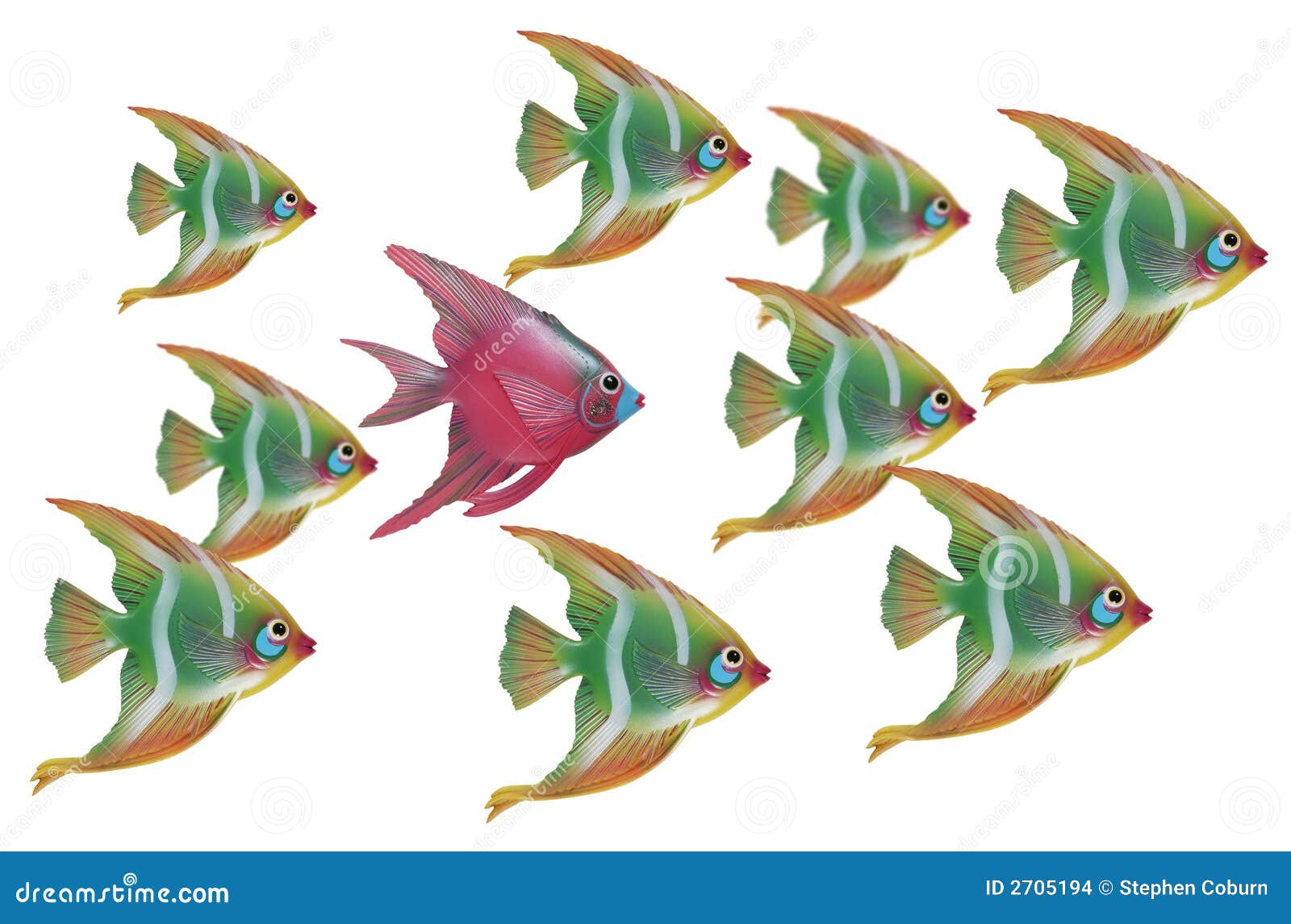 Unique Fish stock photo. Image of liquid, conceptual, swim - 2705194