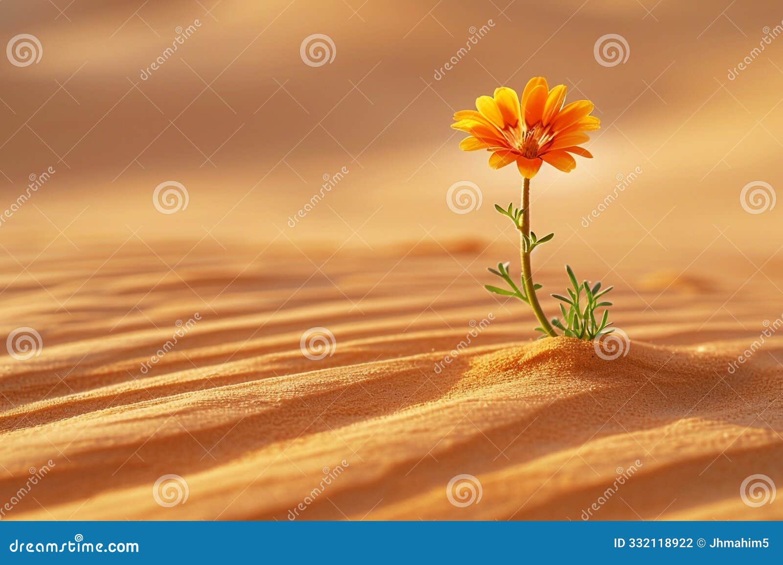 A Unique Flower Blooming in a Desert Representing Resilience and ...
