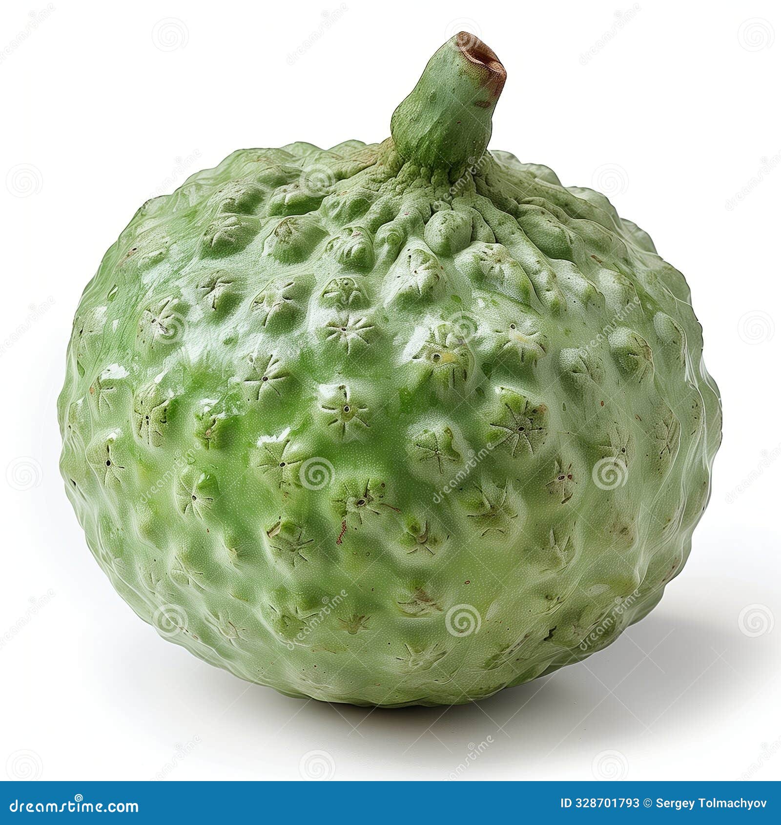Unique Green Fruit with Bumpy Texture Displayed Against a White ...