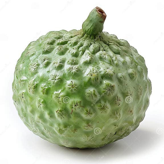 Unique Green Fruit with Bumpy Texture Displayed Against a White ...