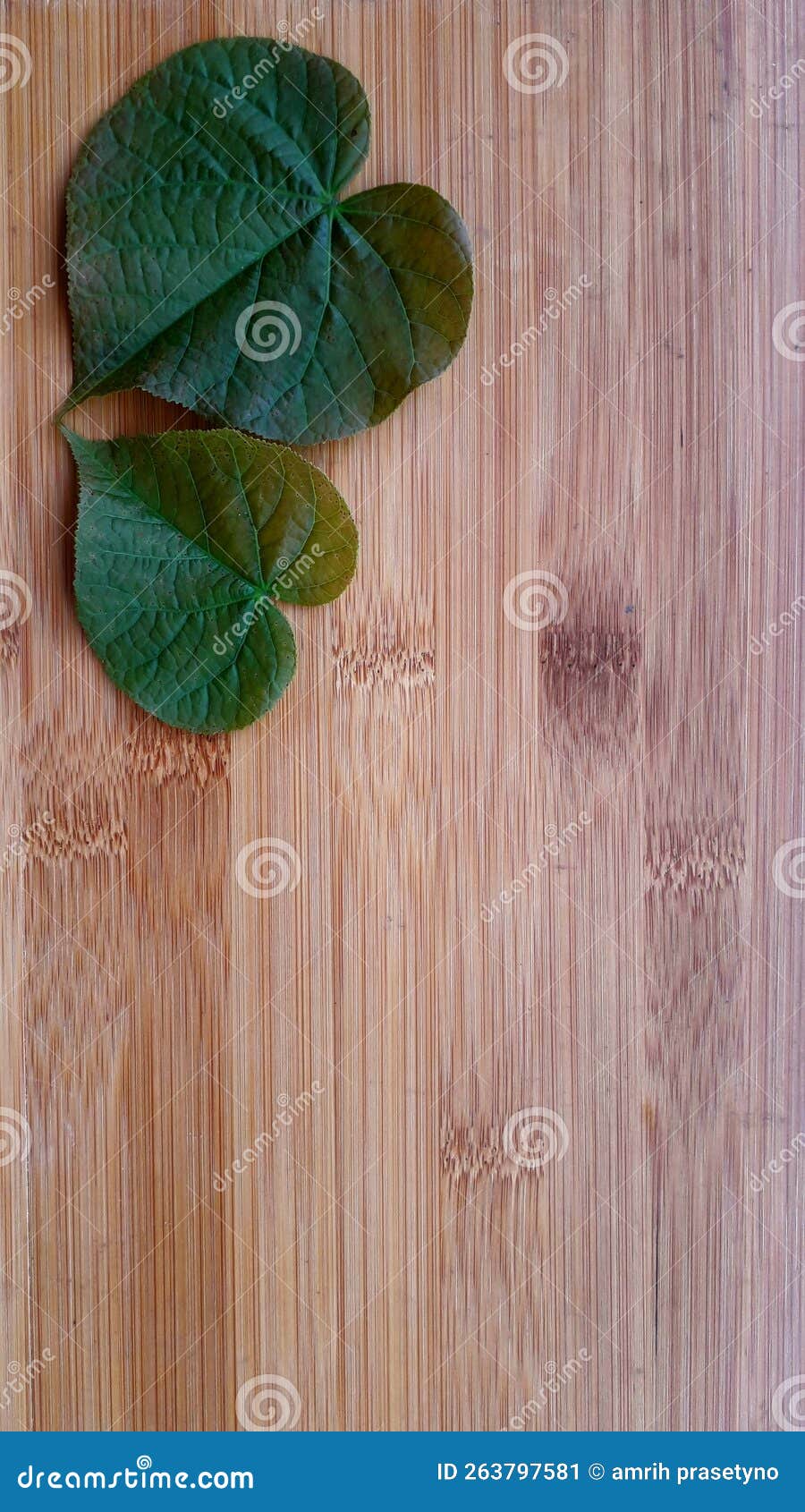 Unique Heart Shaped Leaves on a Bamboo Tray Stock Image - Image of wood ...