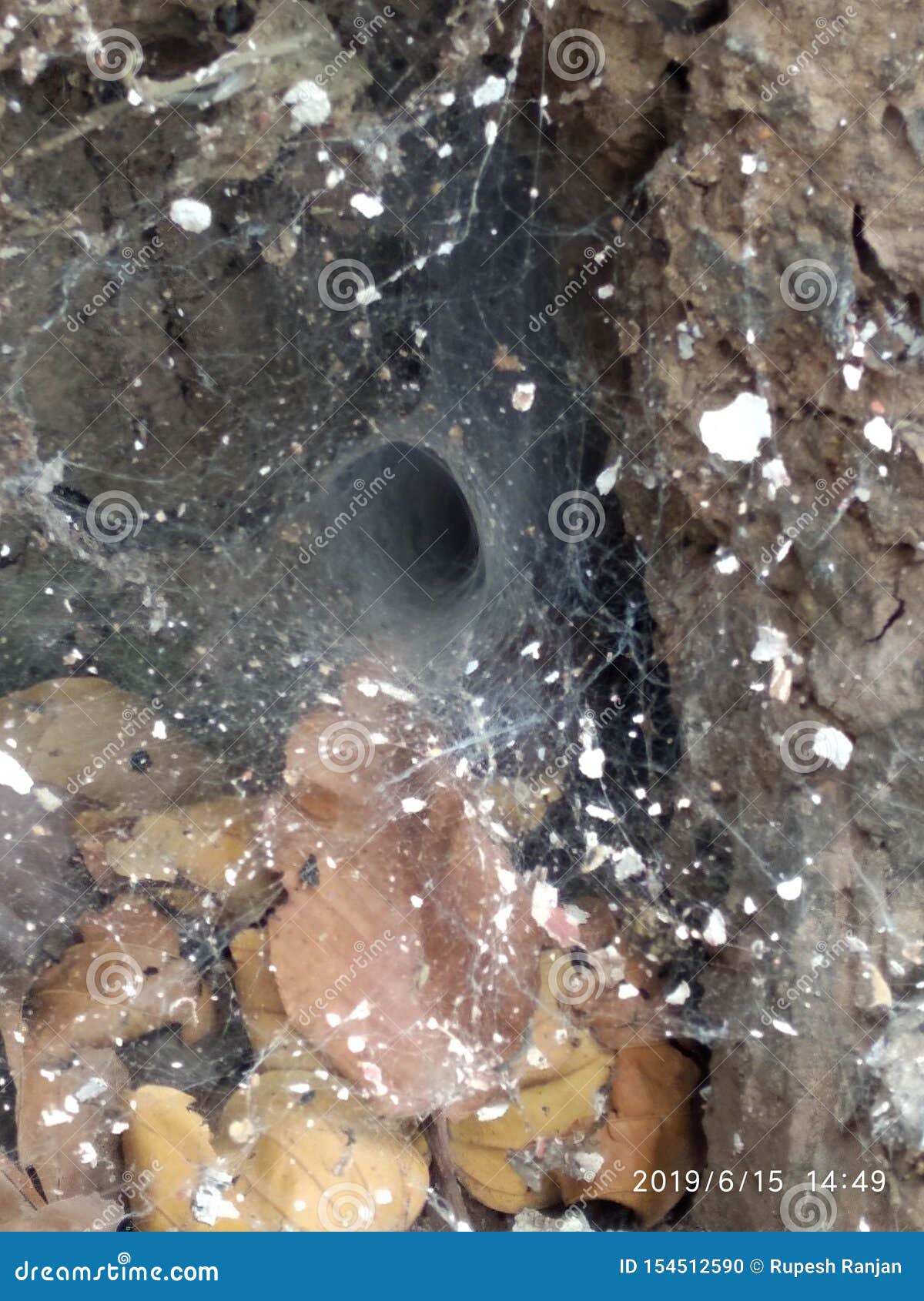 A Unique Hollow Spider& X27;s Web. Stock Photo - Image of unique ...