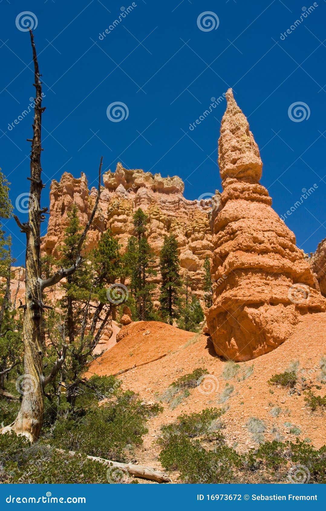 Unique Hoodoos stock photo. Image of scenic, canyon, outdoors - 16973672