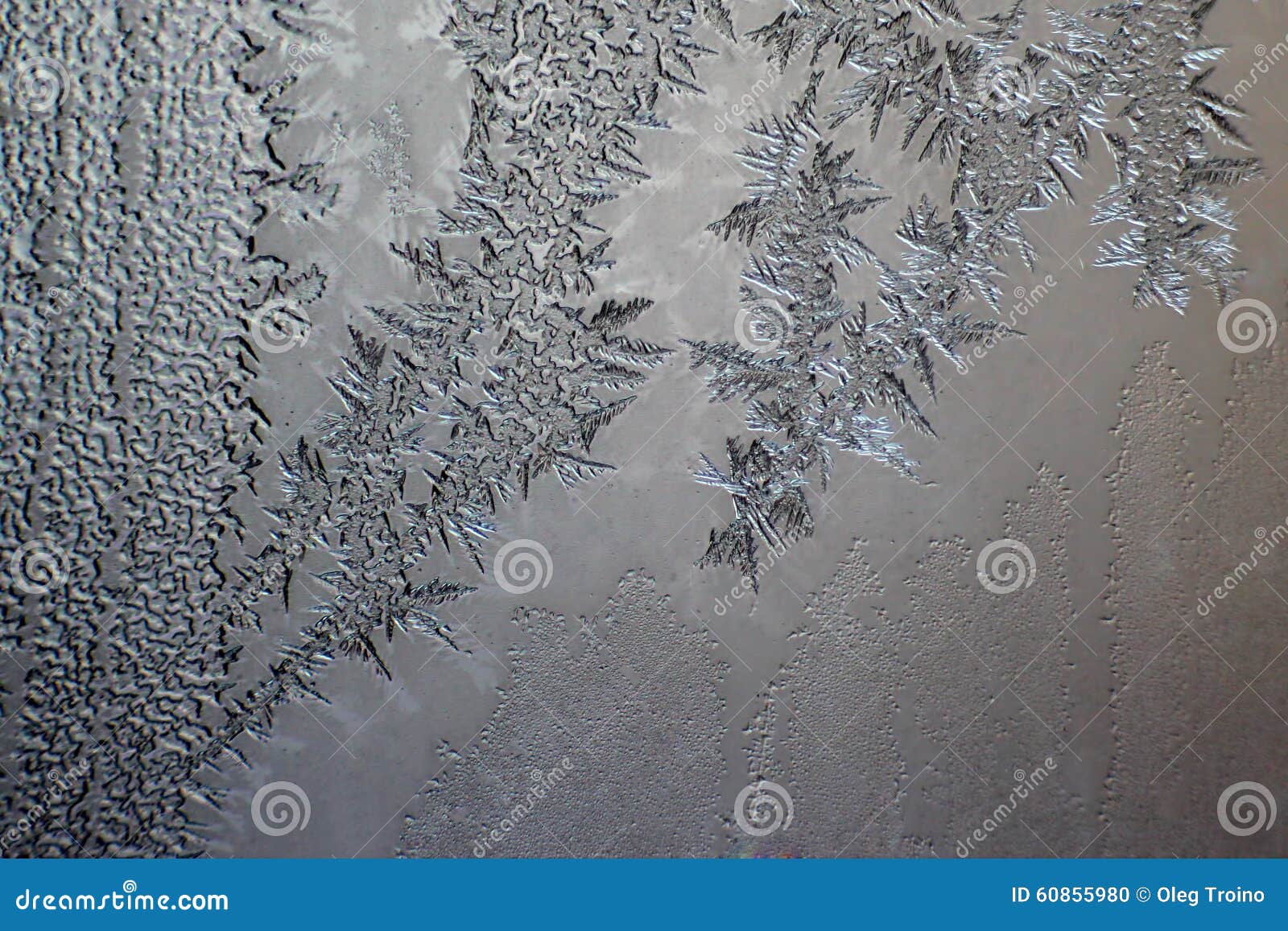 Unique Ice Patterns on Window Glass Stock Photo - Image of congeal ...