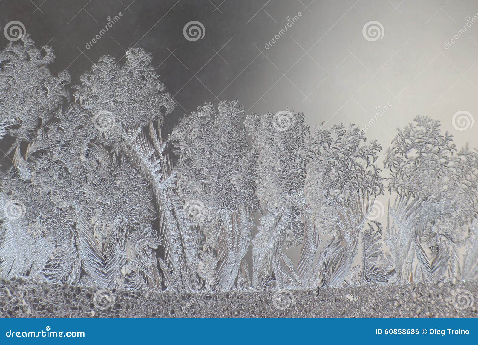 Unique Ice Patterns on Window Glass Stock Photo - Image of effect ...