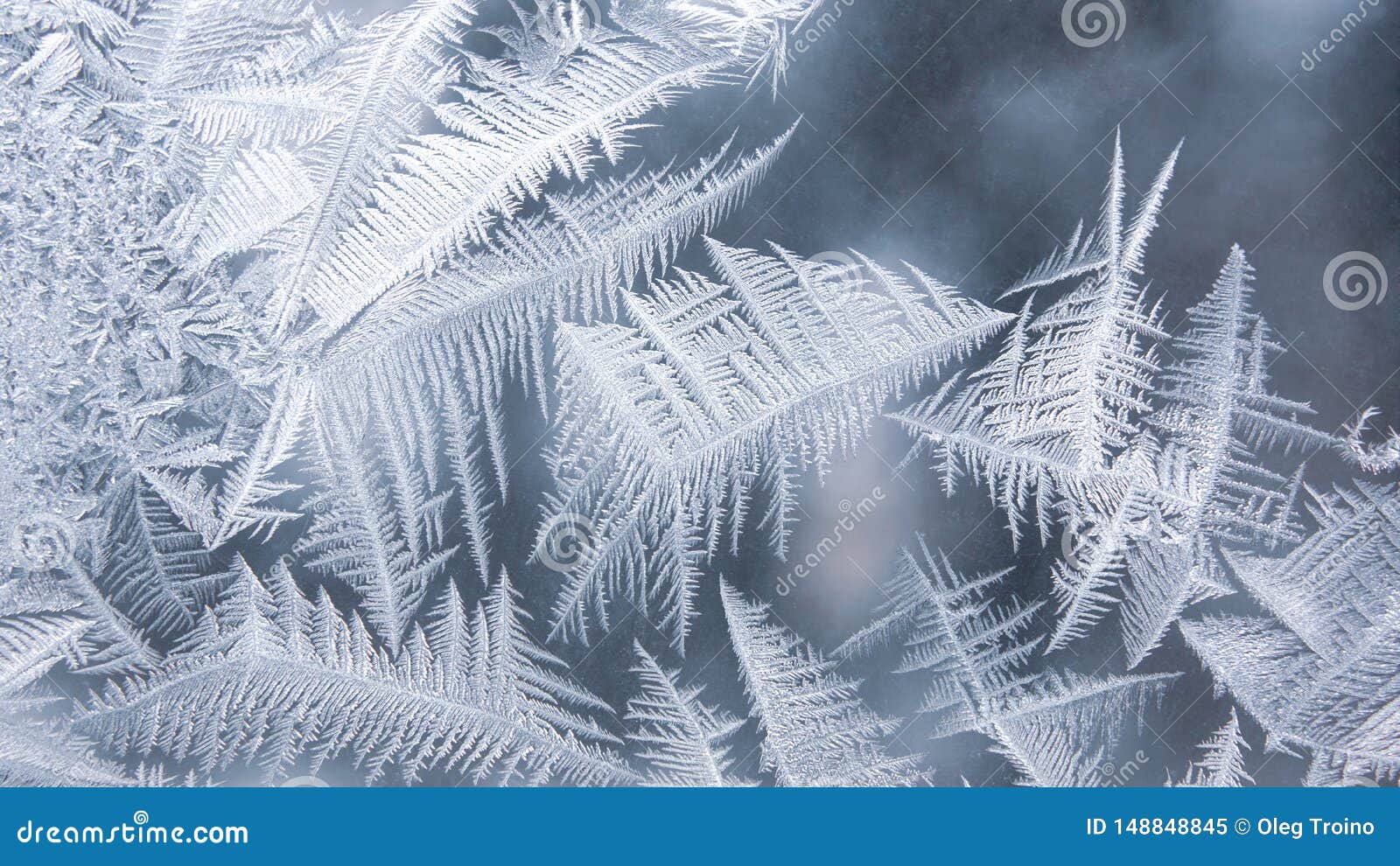 Unique Ice Patterns on Window Glass Stock Image - Image of nature ...